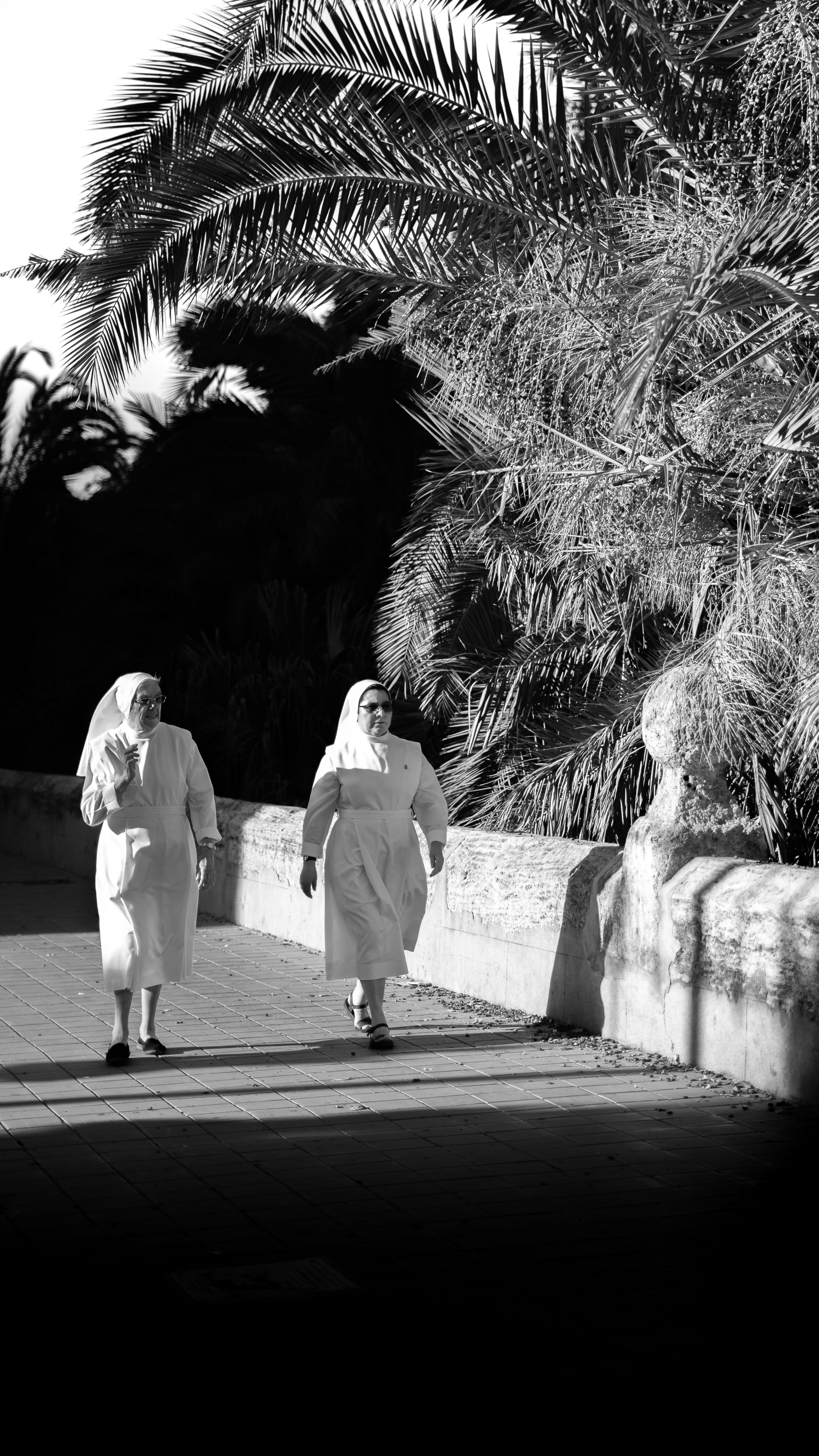 Syntymapaiva Kakku Nuns Photos, Download The BEST Free Syntymapaiva ...