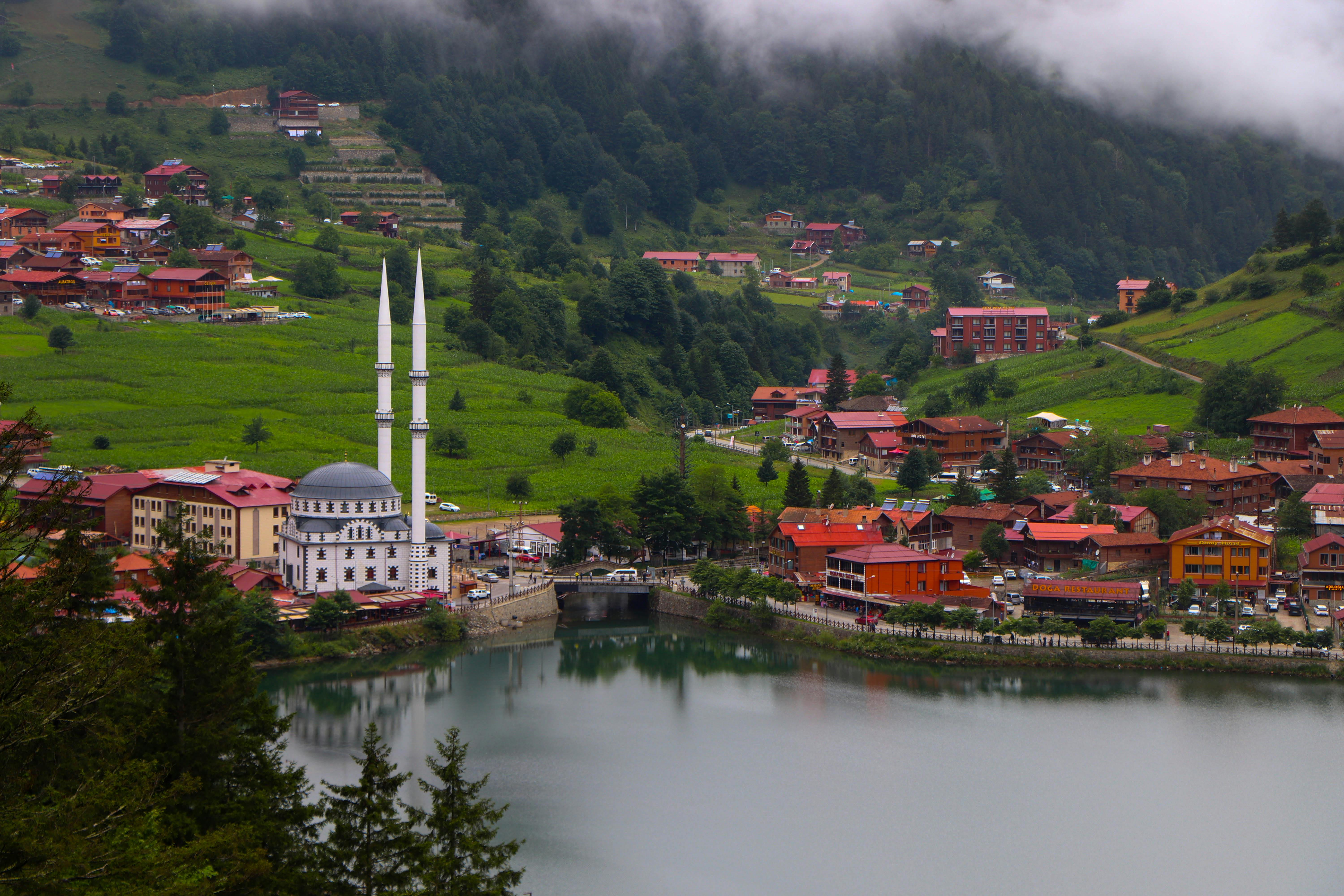 Safa Hassan - 사진