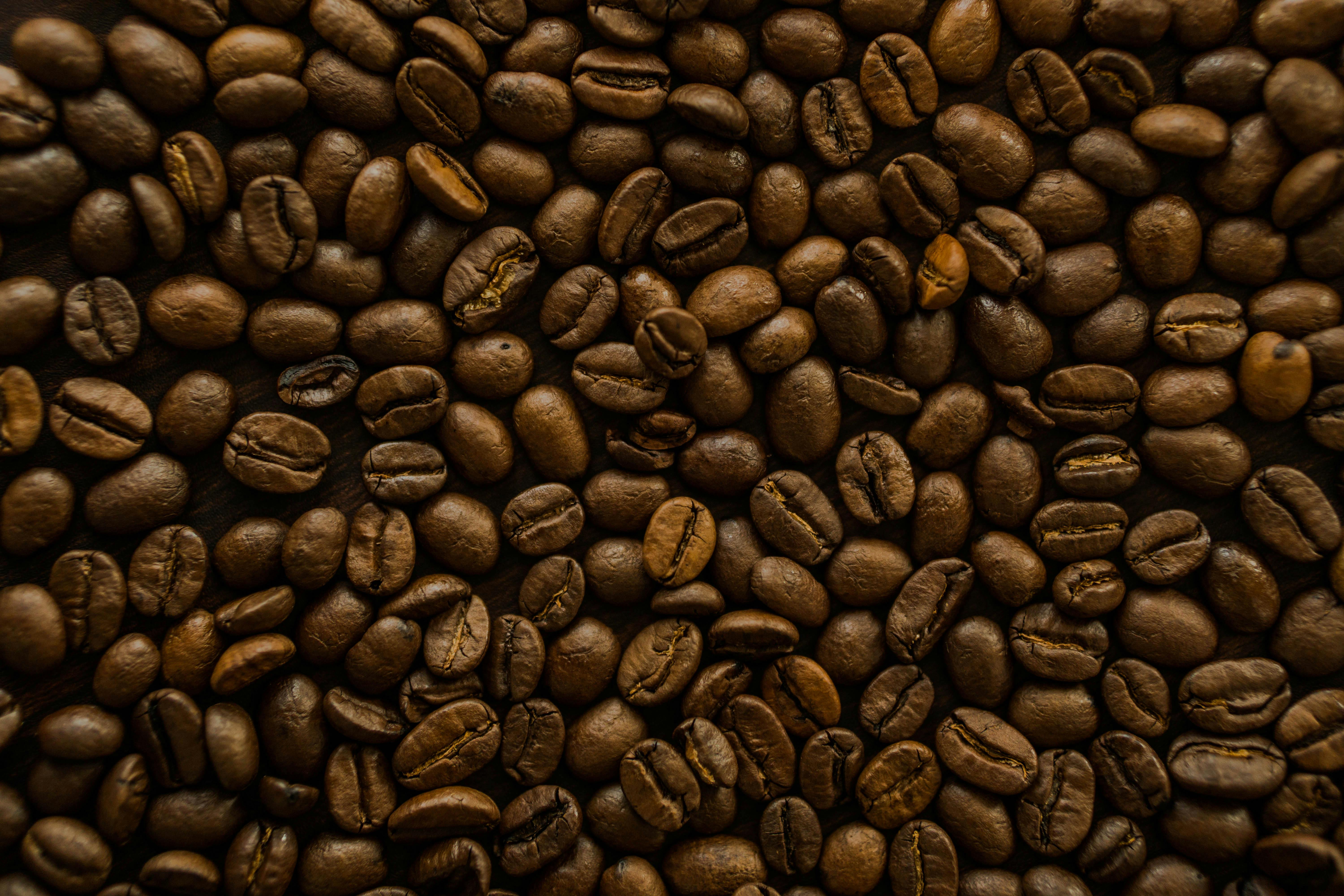 Close up of Coffee Beans · Free Stock Photo