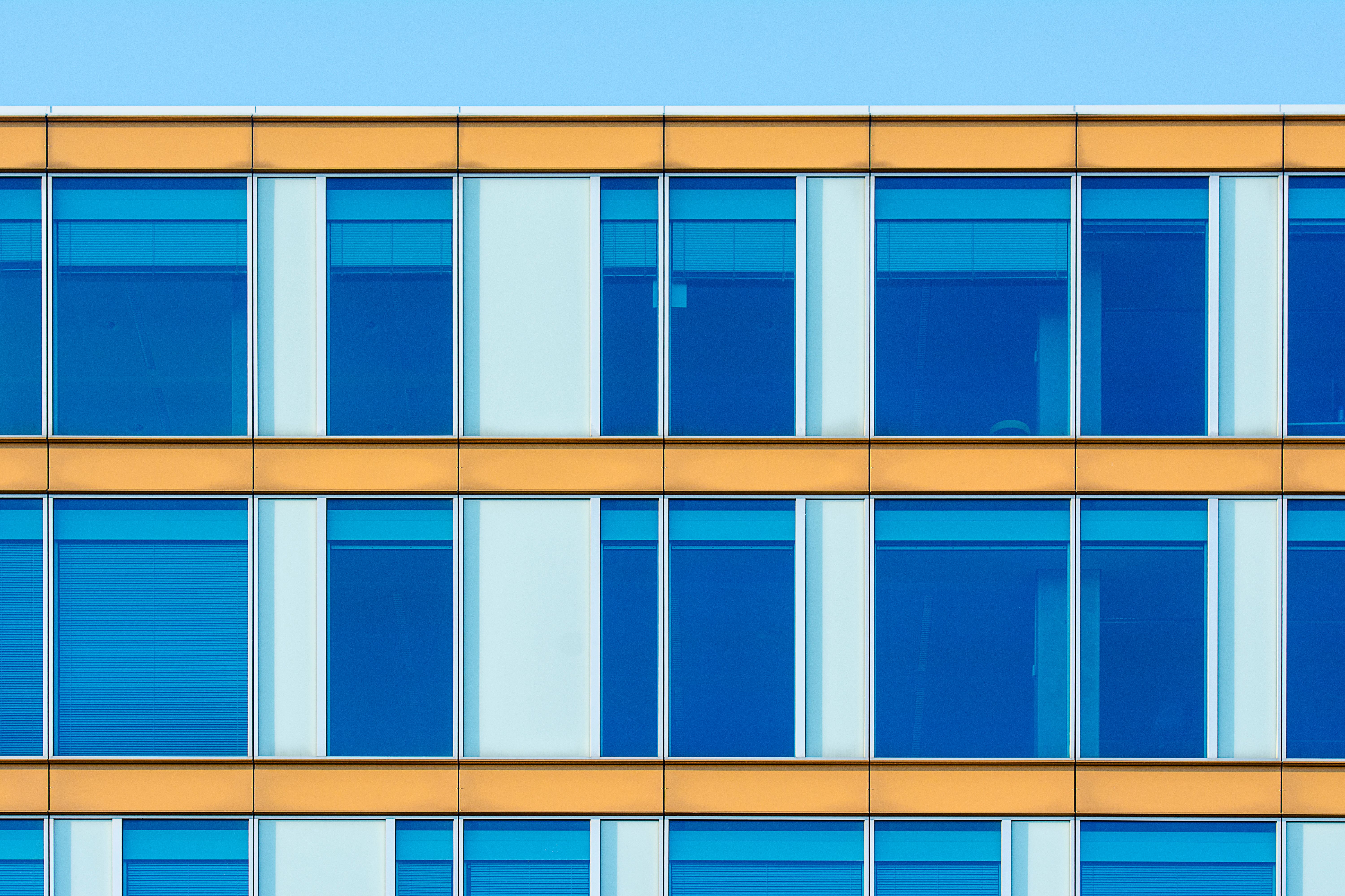 Windows of Office Building · Free Stock Photo