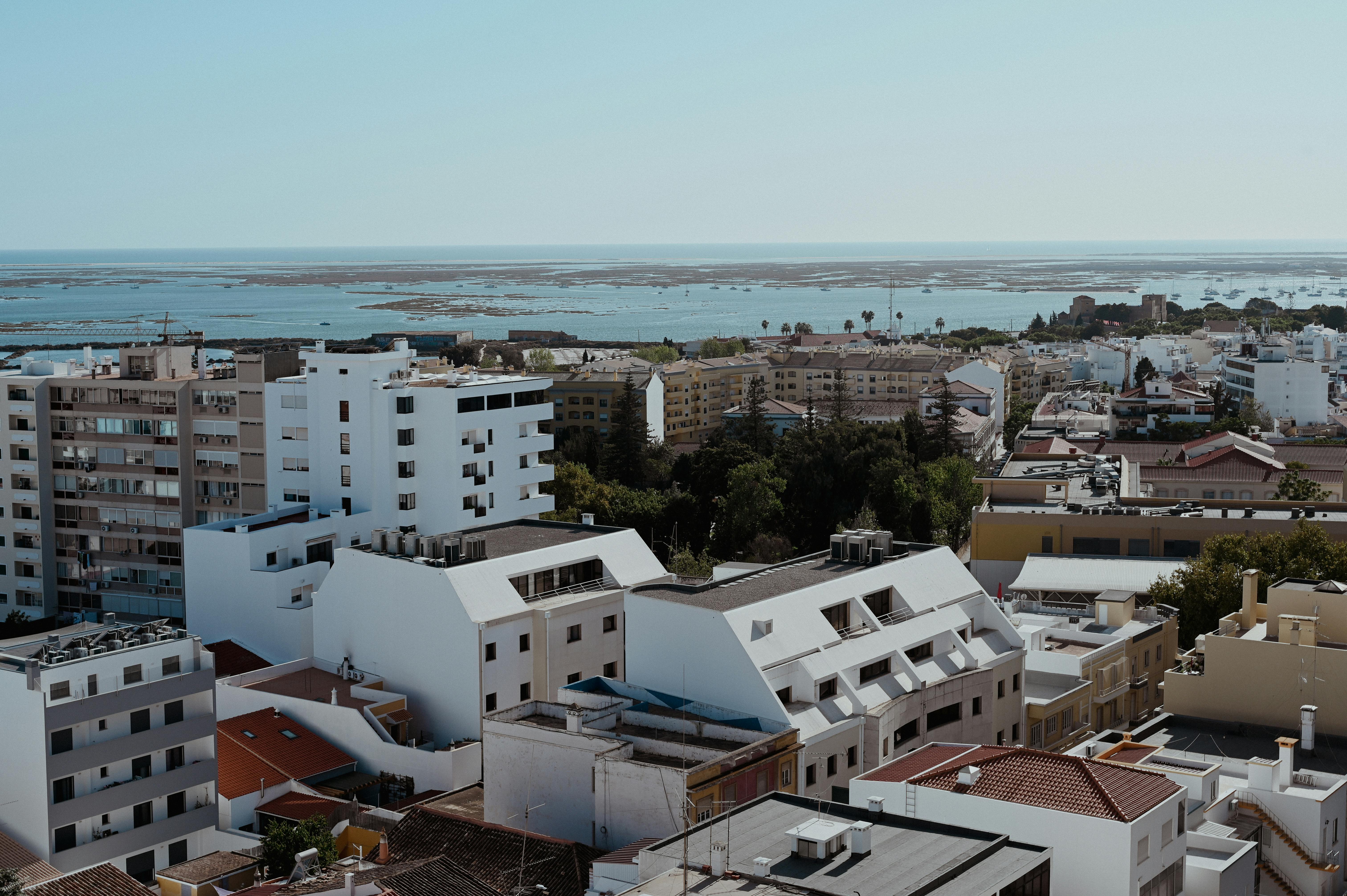 Primitive View Photos, Download The BEST Free Primitive View Stock ...