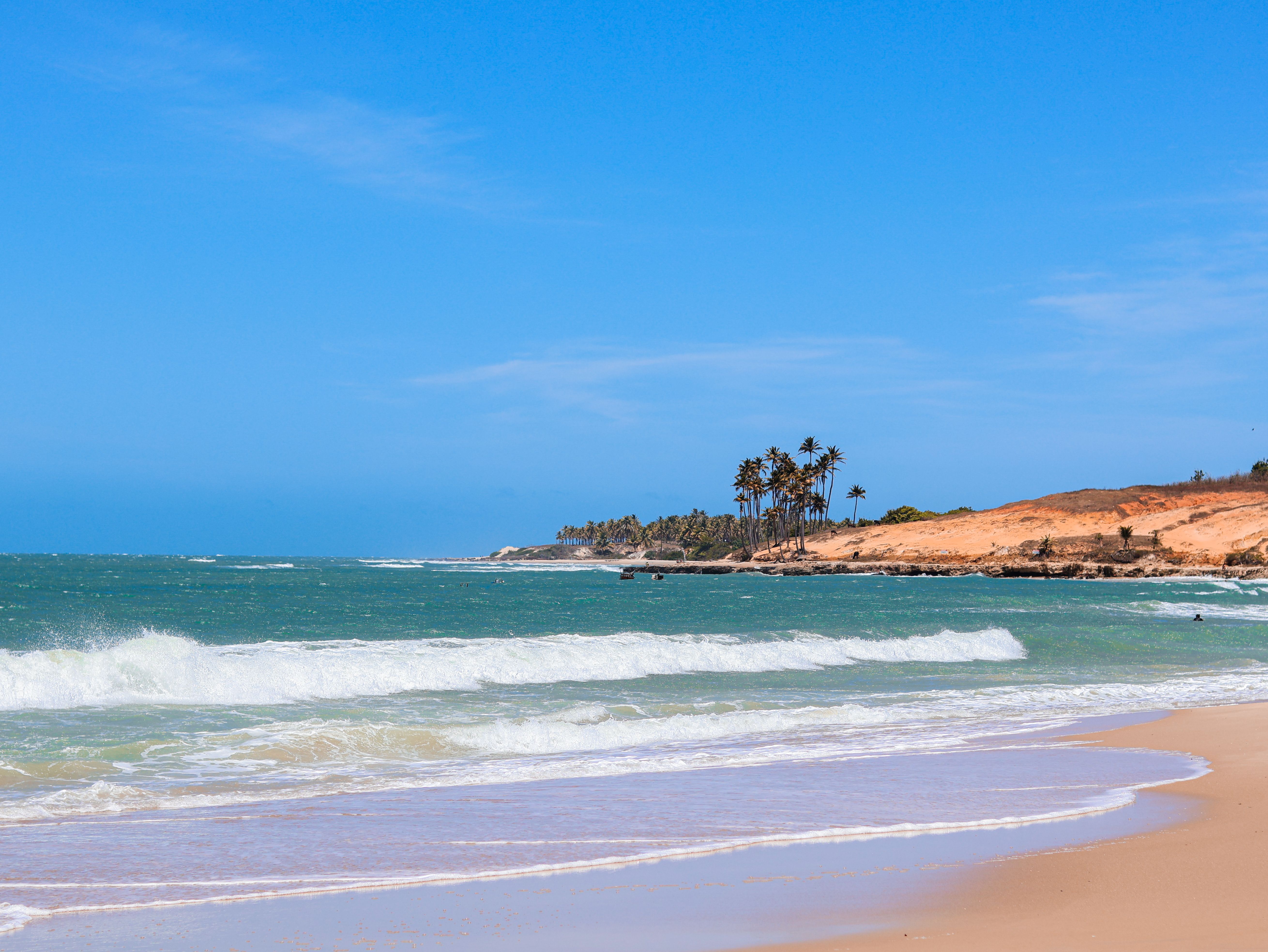 Scenic View of a Tropical Beach · Free Stock Photo
