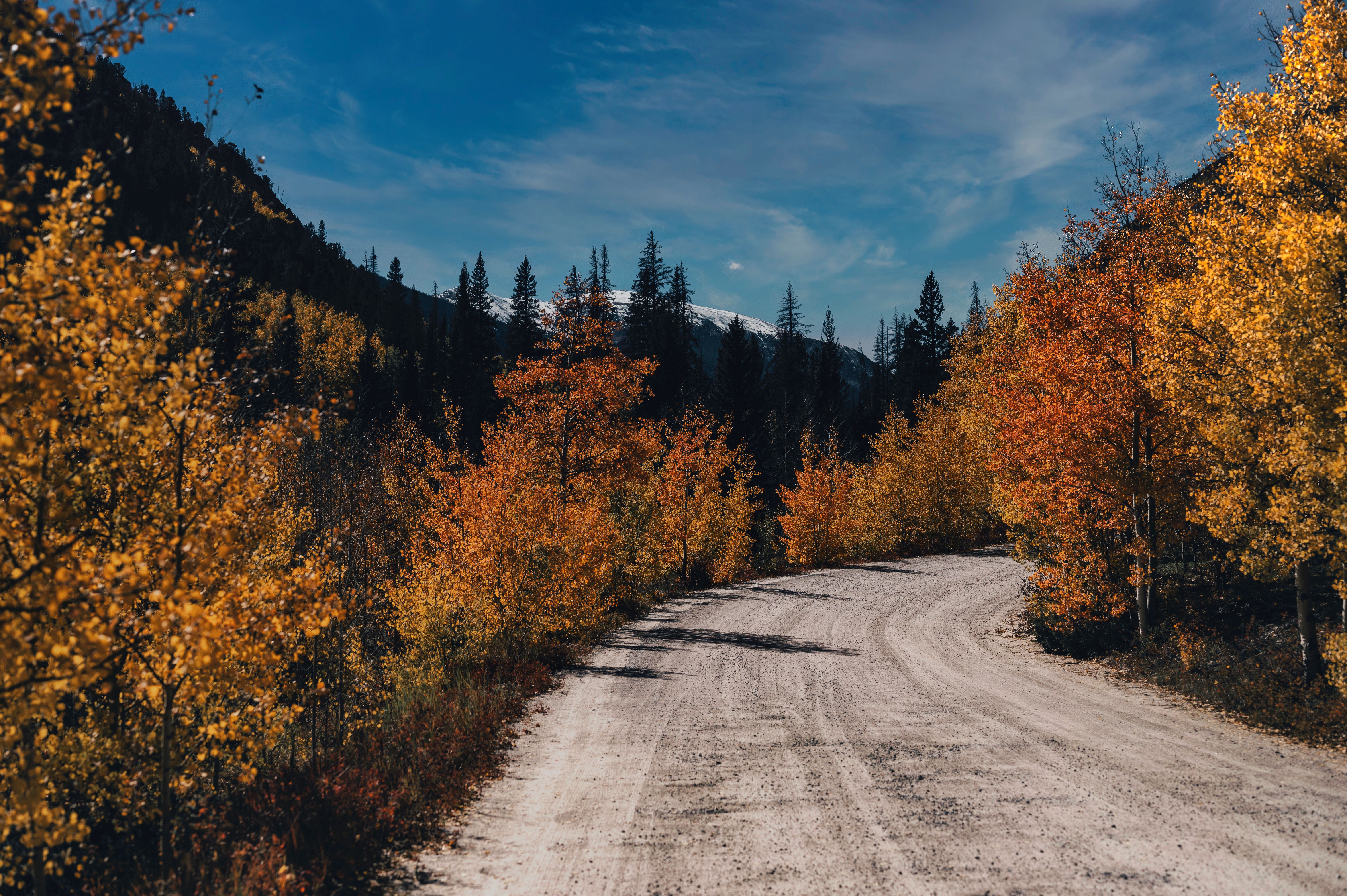 Whimsical Fall Wallpaper Photos, Download The BEST Free Whimsical Fall ...
