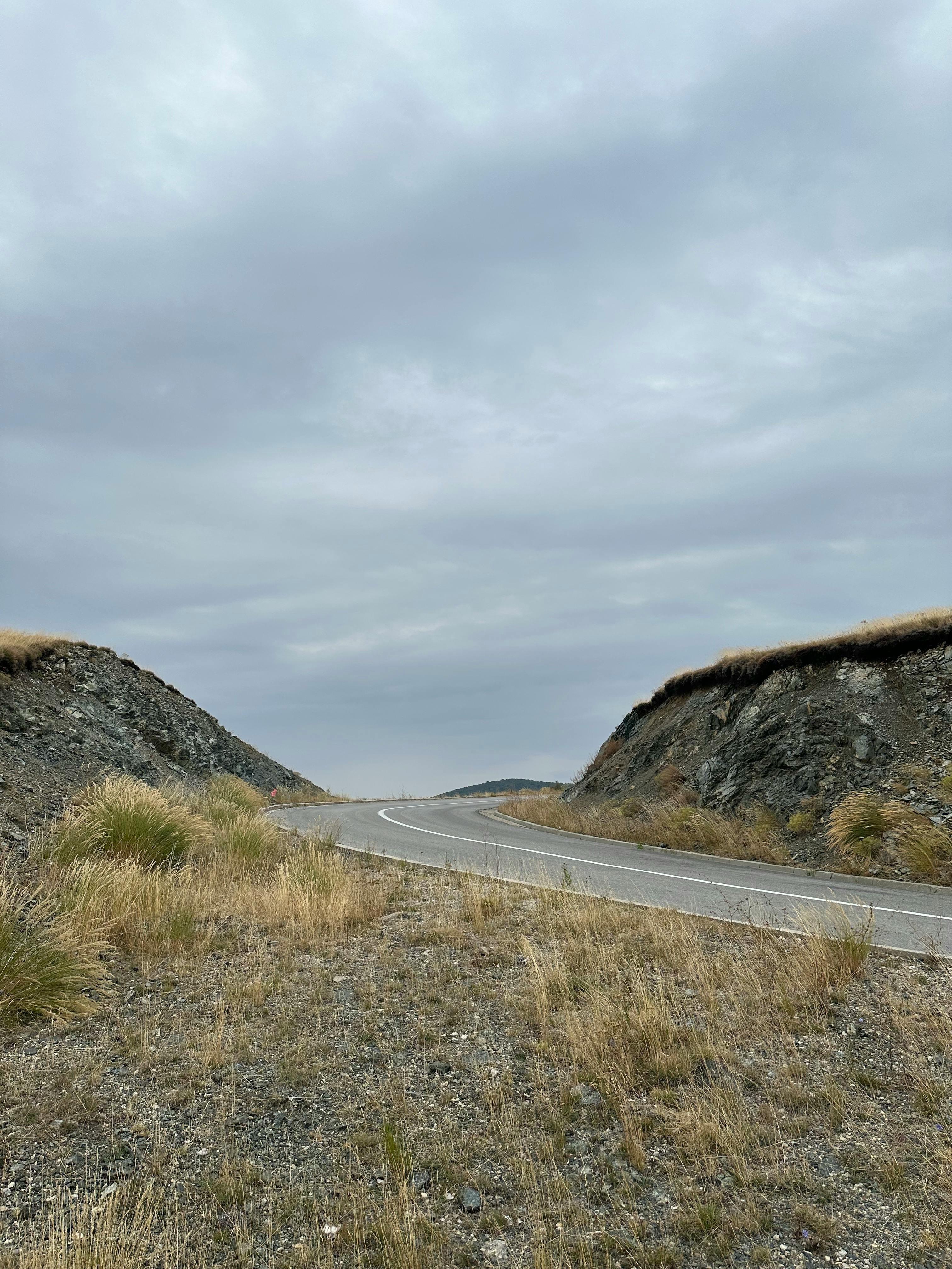 Photo of Road Railing Near Grasses · Free Stock Photo