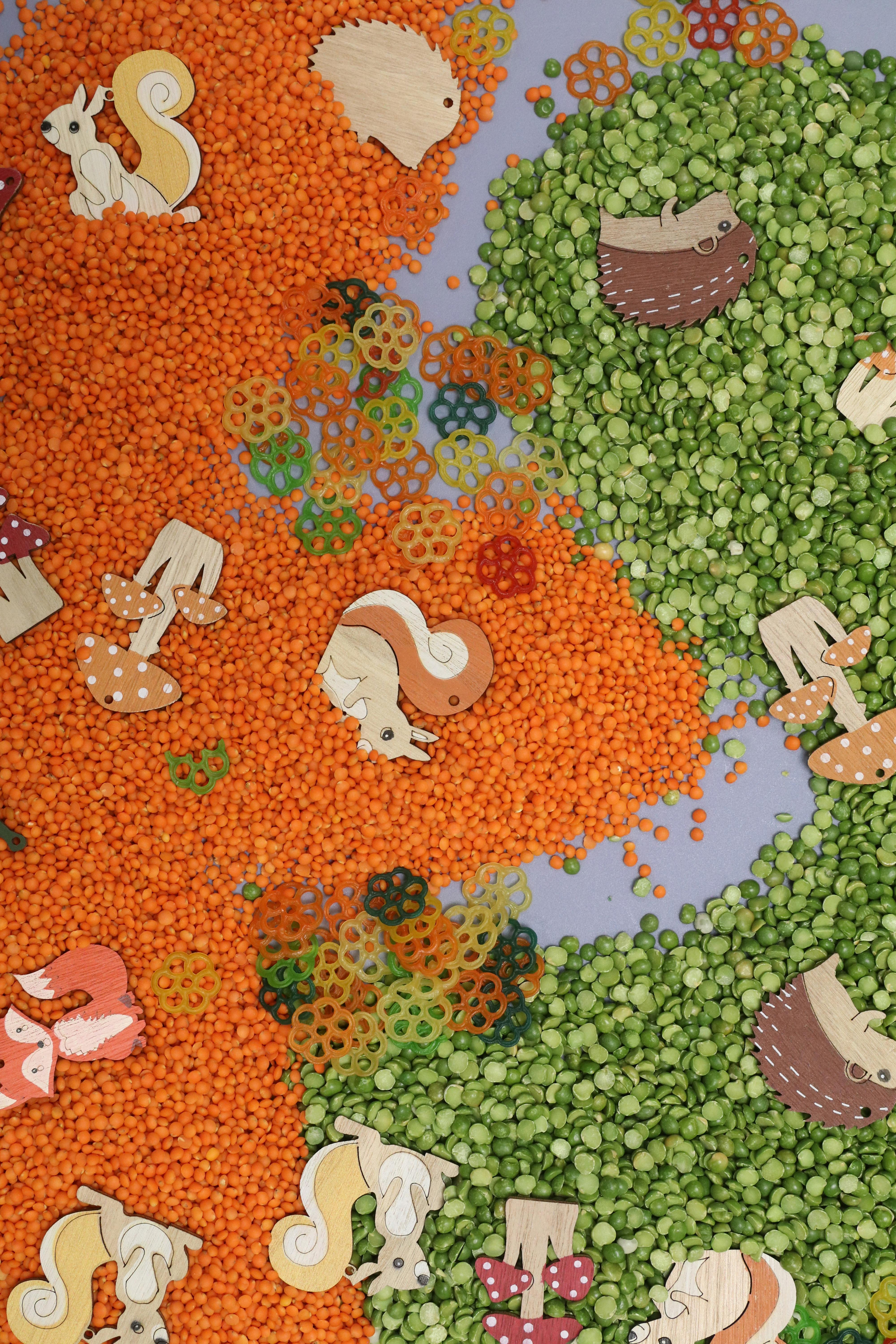 Environmental Decoration with Wooden Cutout Shapes and Grain · Free ...