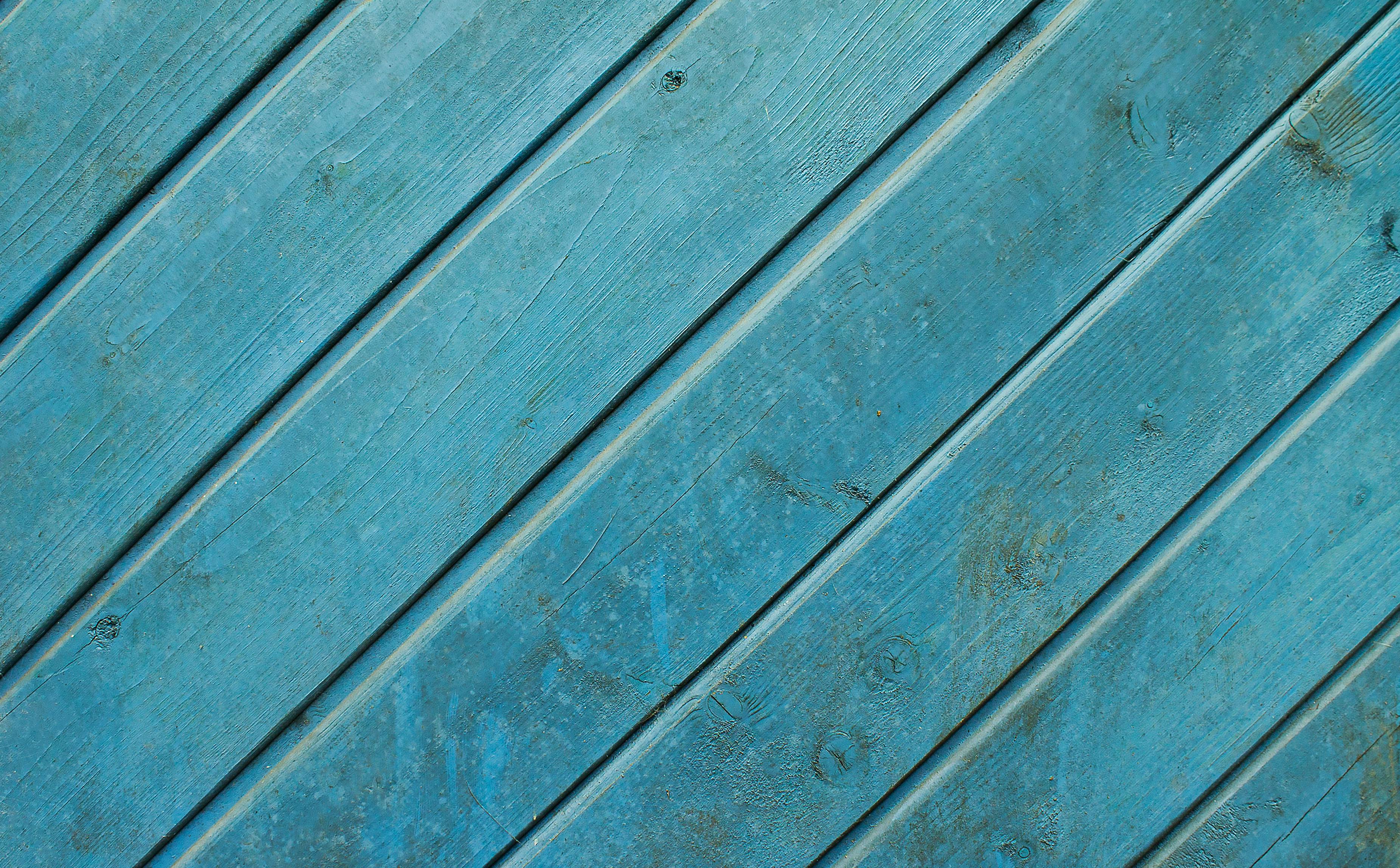 Free stock photo of background, blue, ground