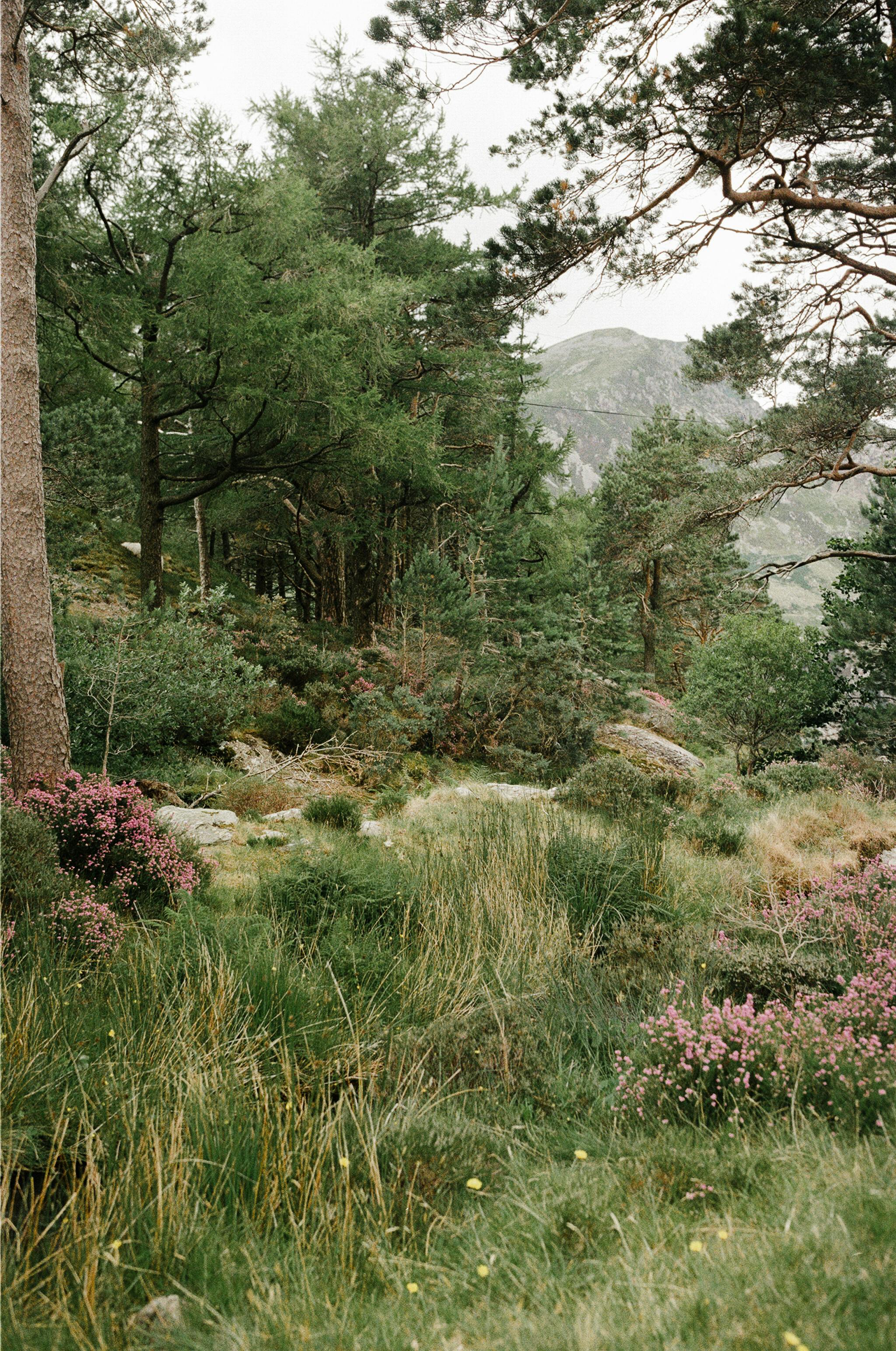 Avonne Stalling - Photography