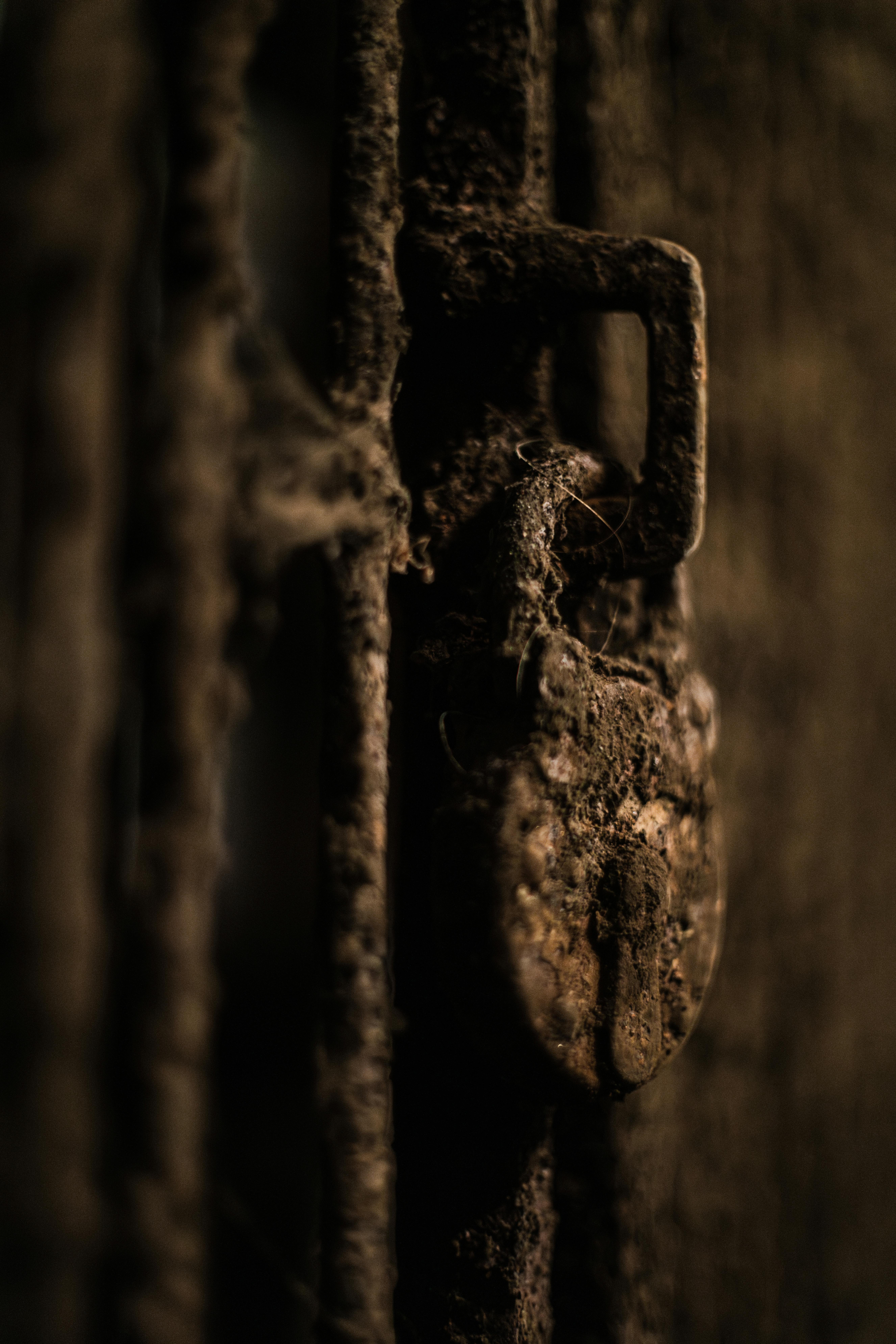 Old rusted gate with webs · Free Stock Photo