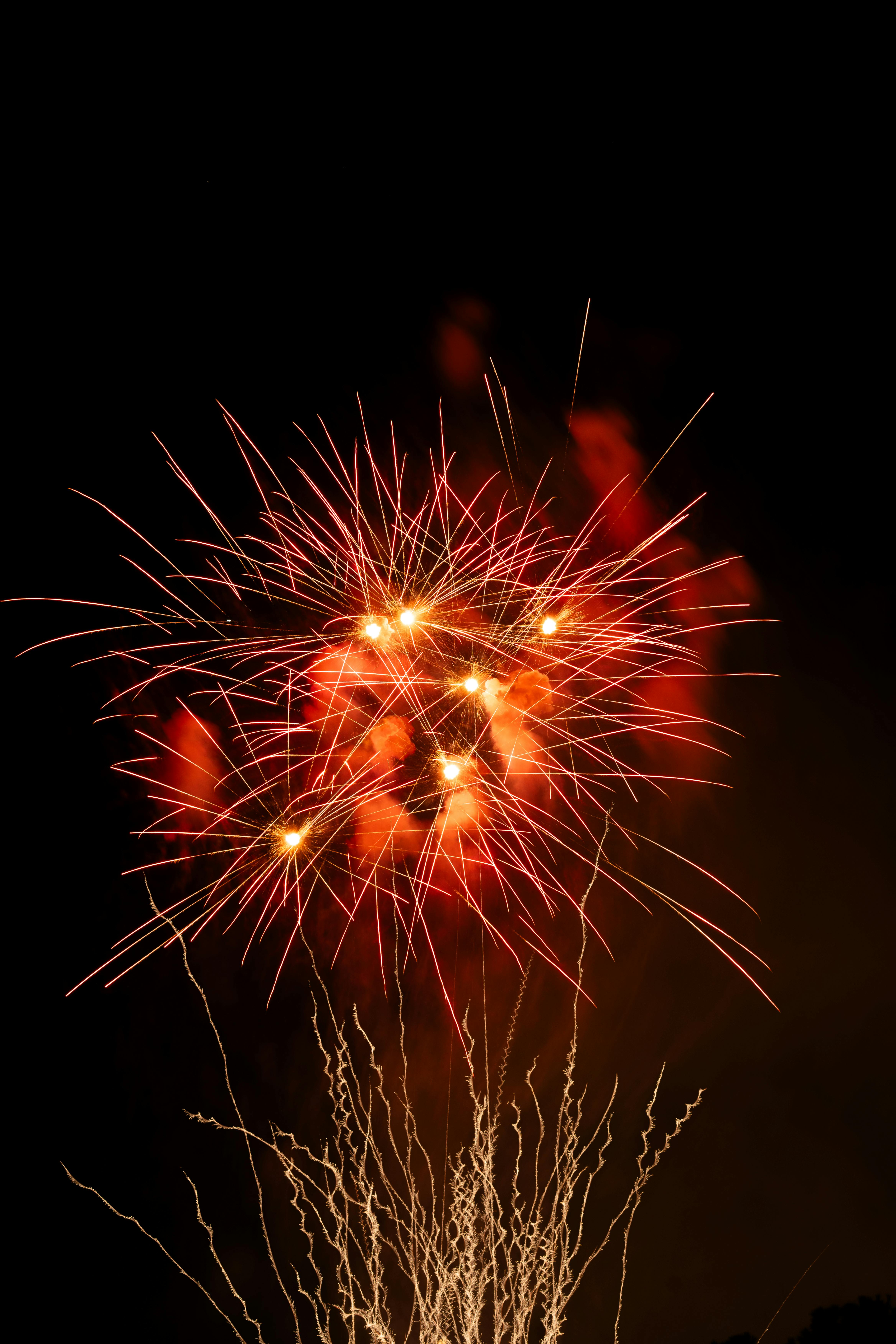 Blue and Red Brocade Fireworks at Night · Free Stock Photo