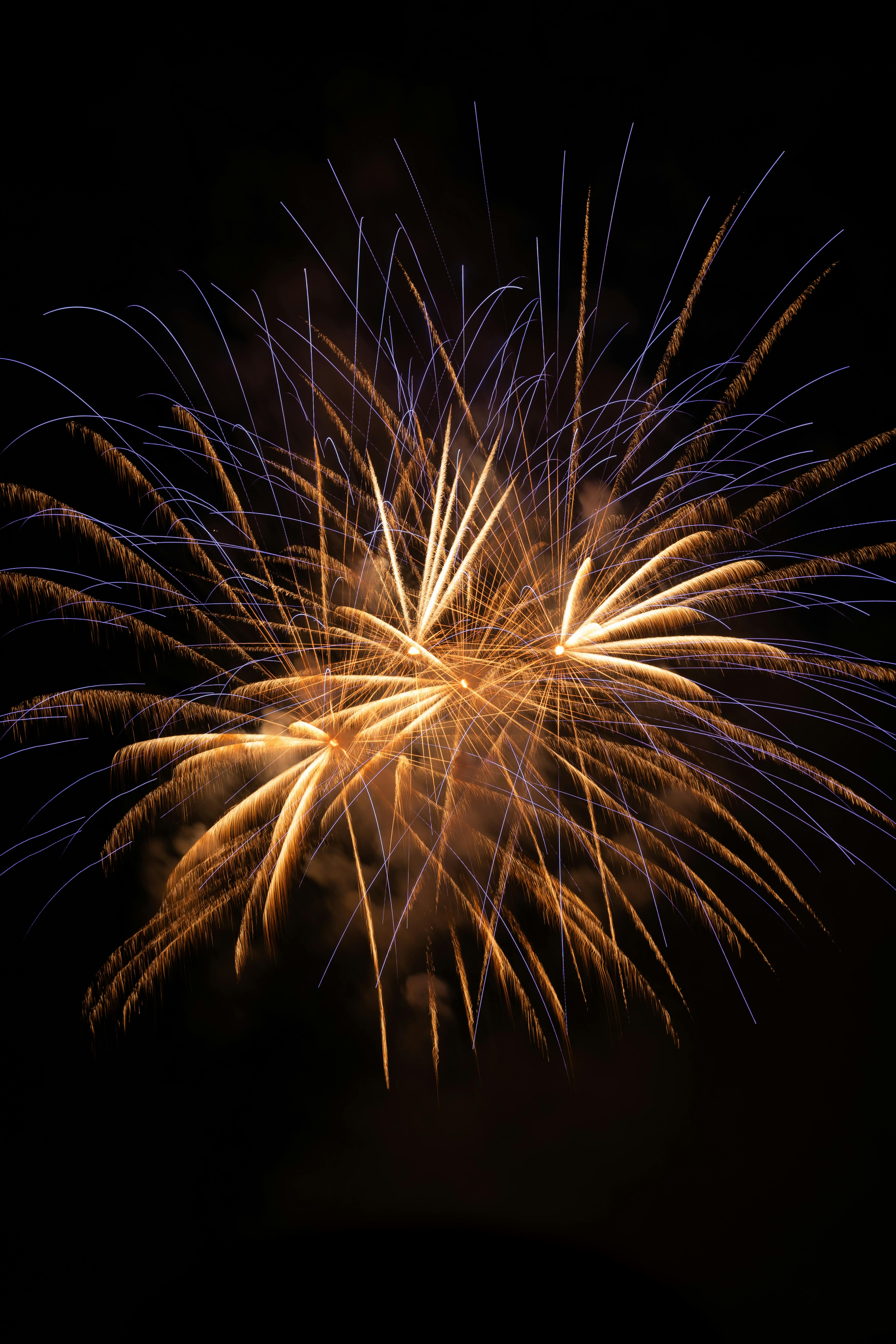 Beautiful Fireworks in the Sky · Free Stock Photo