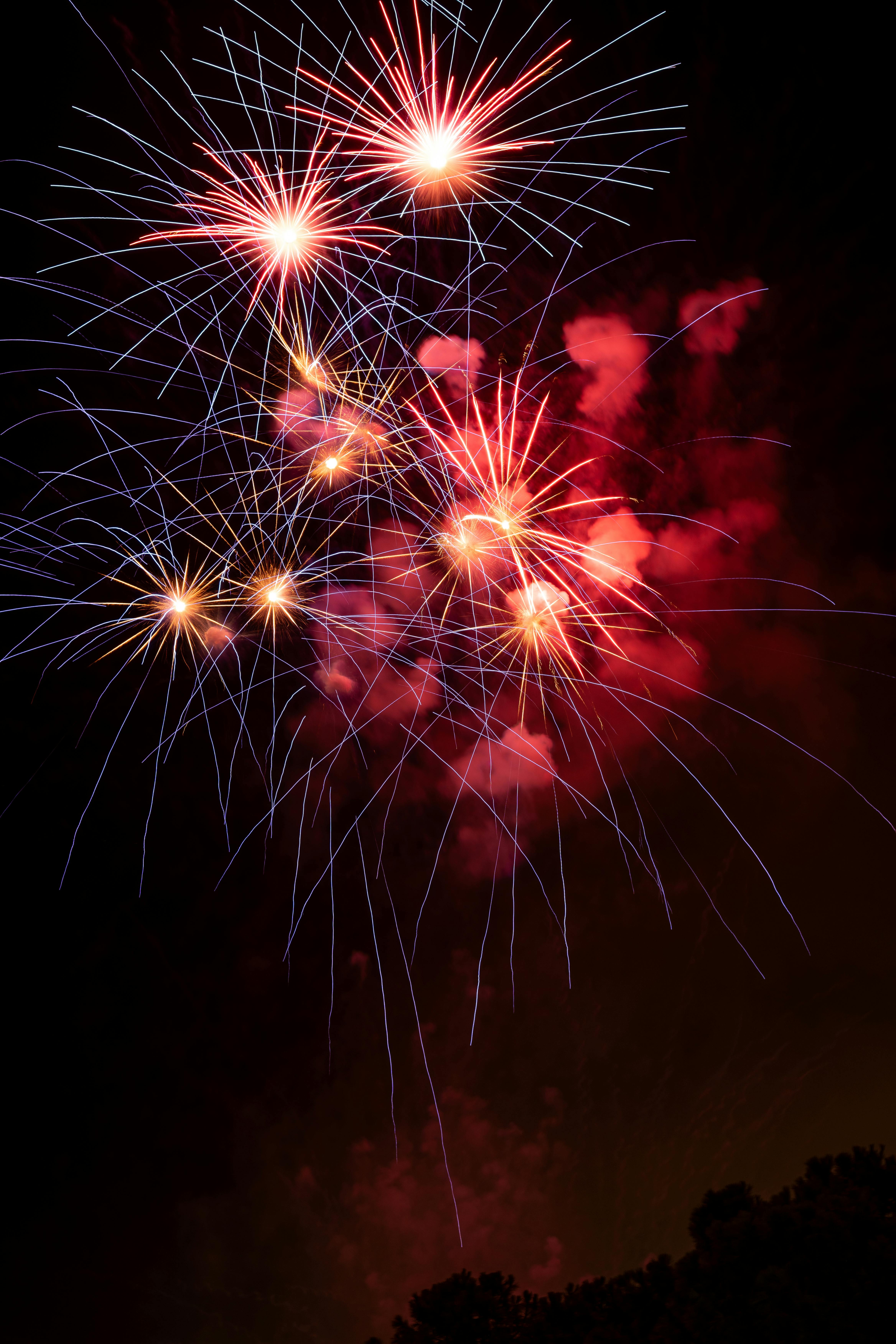 Blue and Red Brocade Fireworks at Night · Free Stock Photo