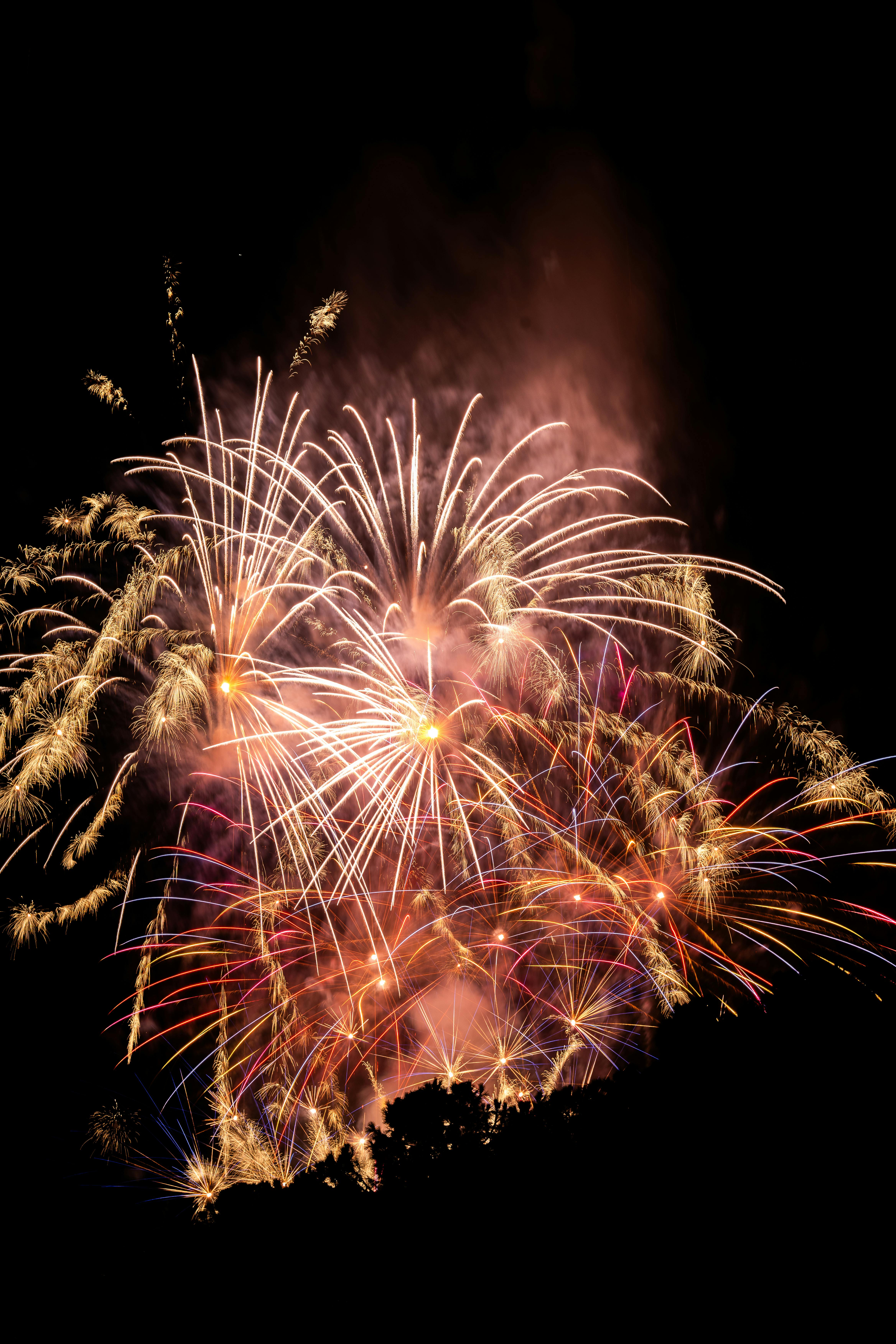 Blue and Red Brocade Fireworks at Night · Free Stock Photo