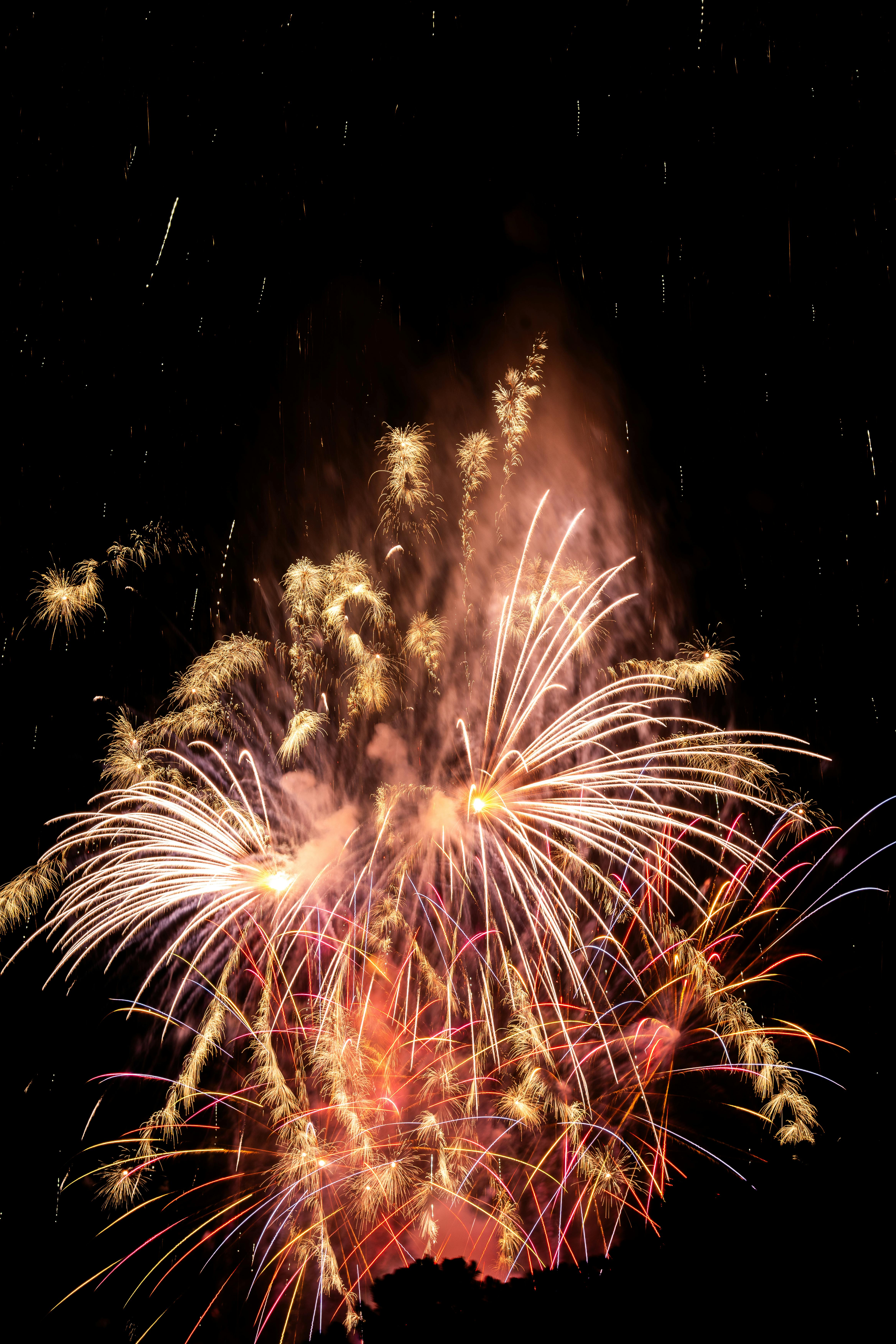 Blue and Red Brocade Fireworks at Night · Free Stock Photo
