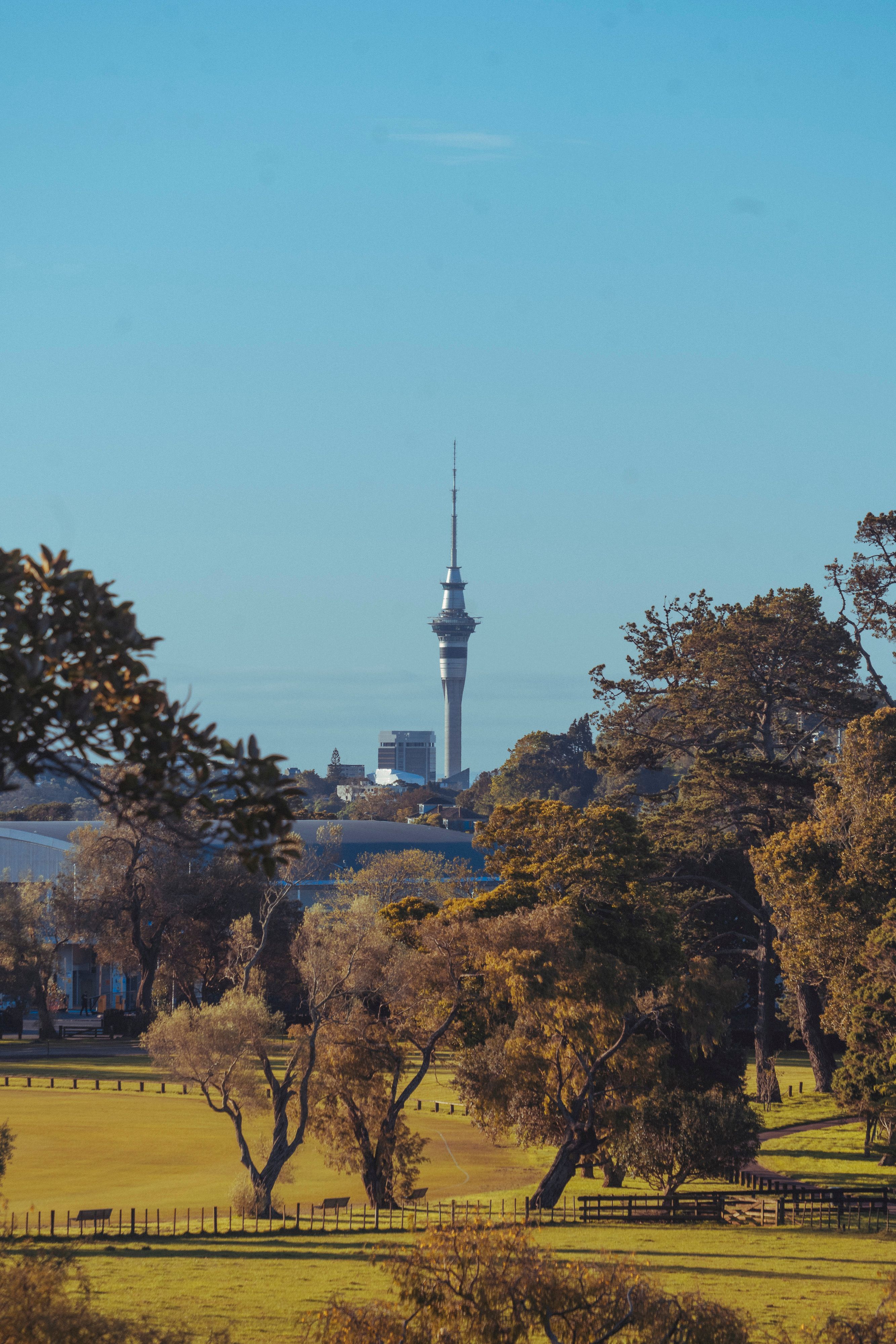 Auckland Sky Tower Photos, Download The BEST Free Auckland Sky Tower ...