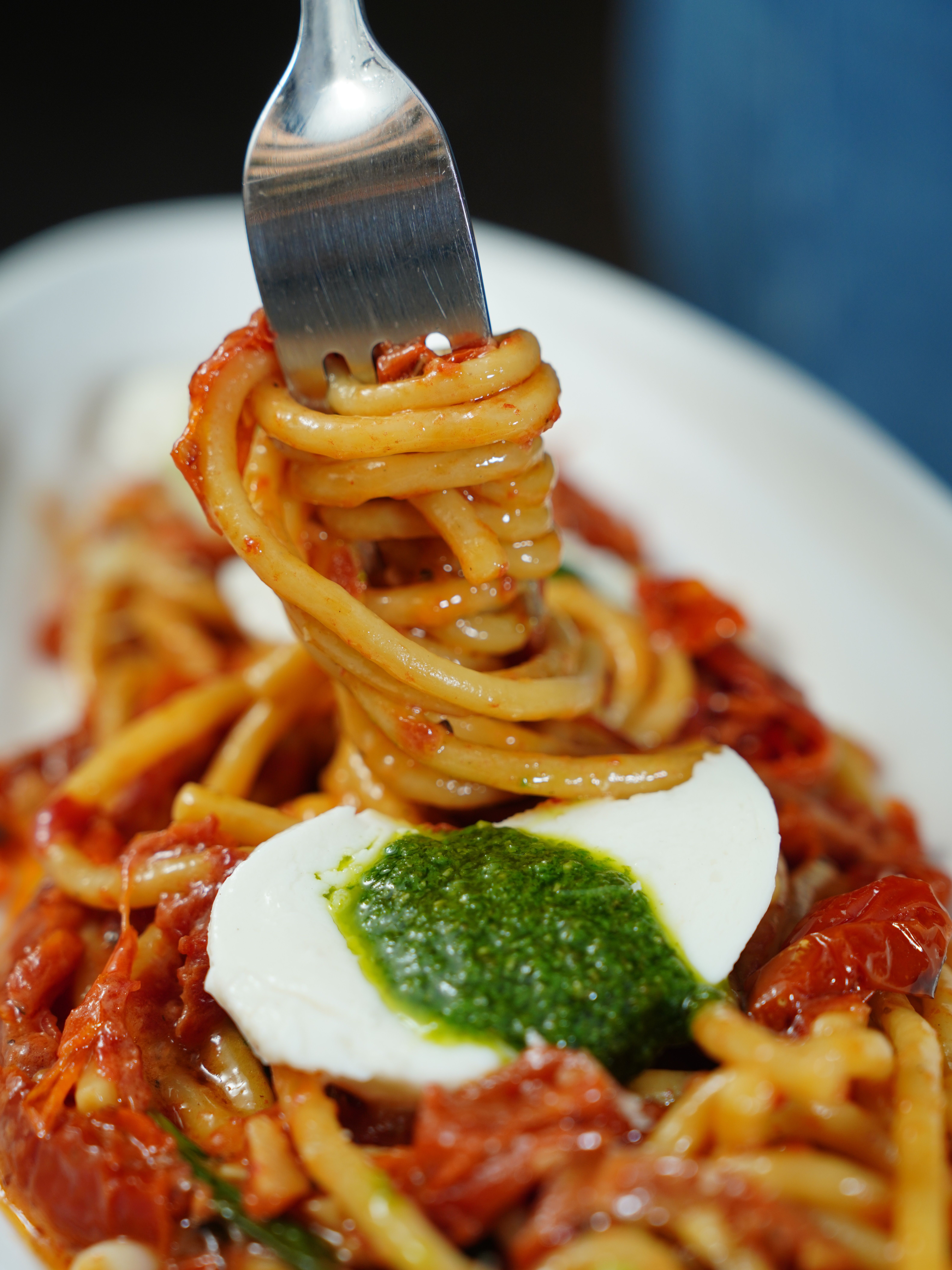 Fork with Pasta in a Plate · Free Stock Photo