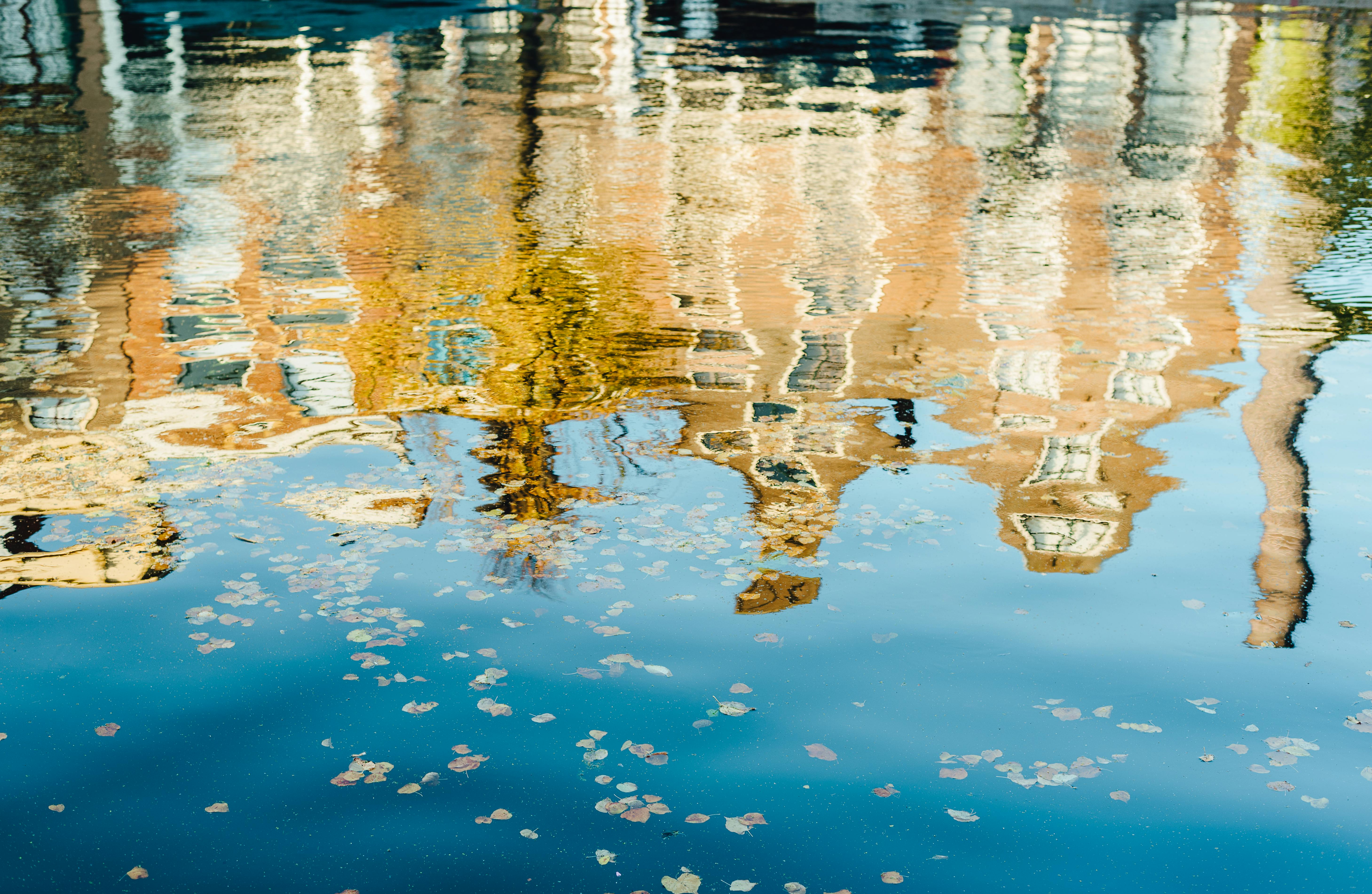 Reflection of Buildings in the Water · Free Stock Photo