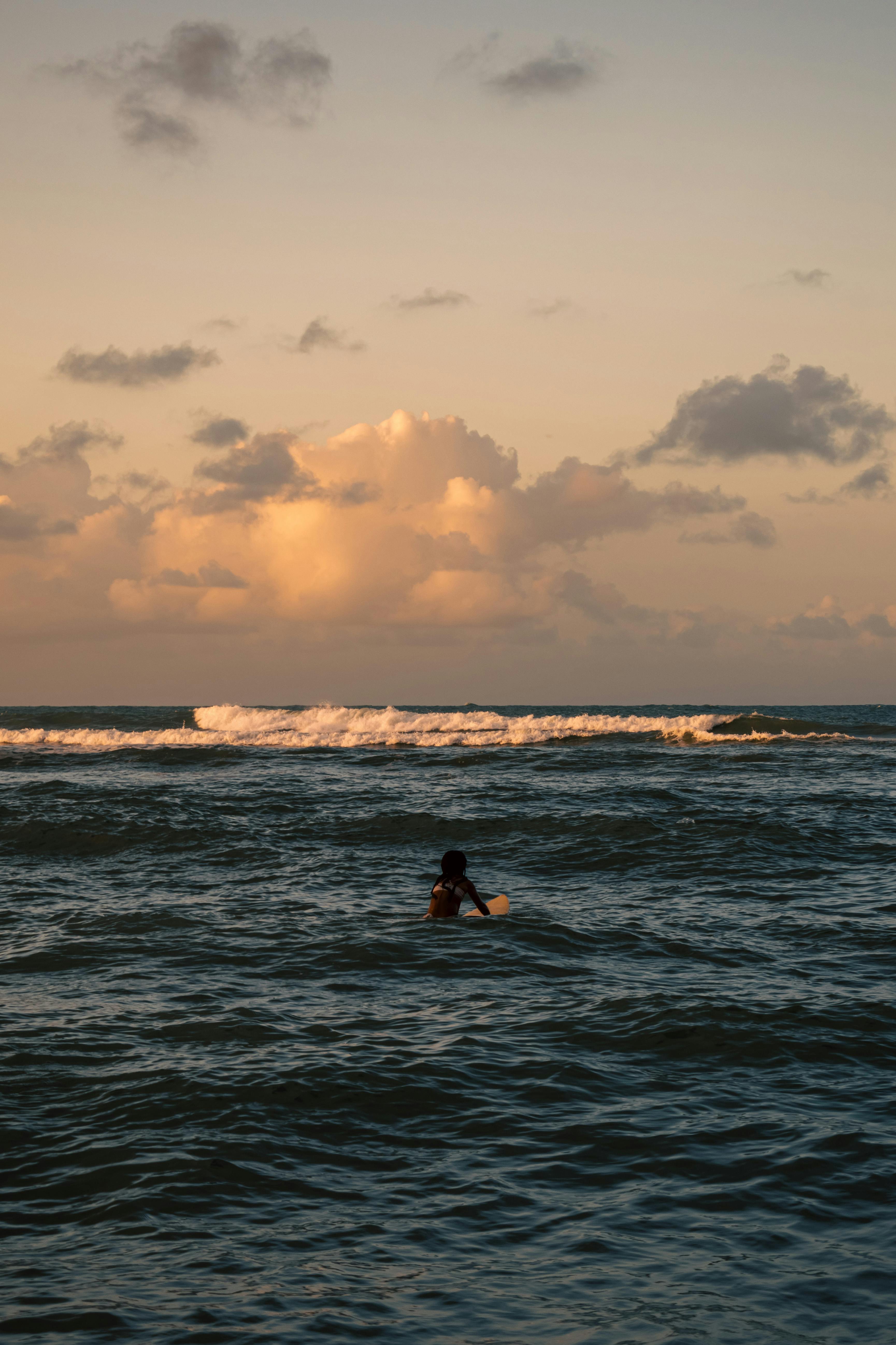 Surfer Swimming in Ocean in Evening · Free Stock Photo