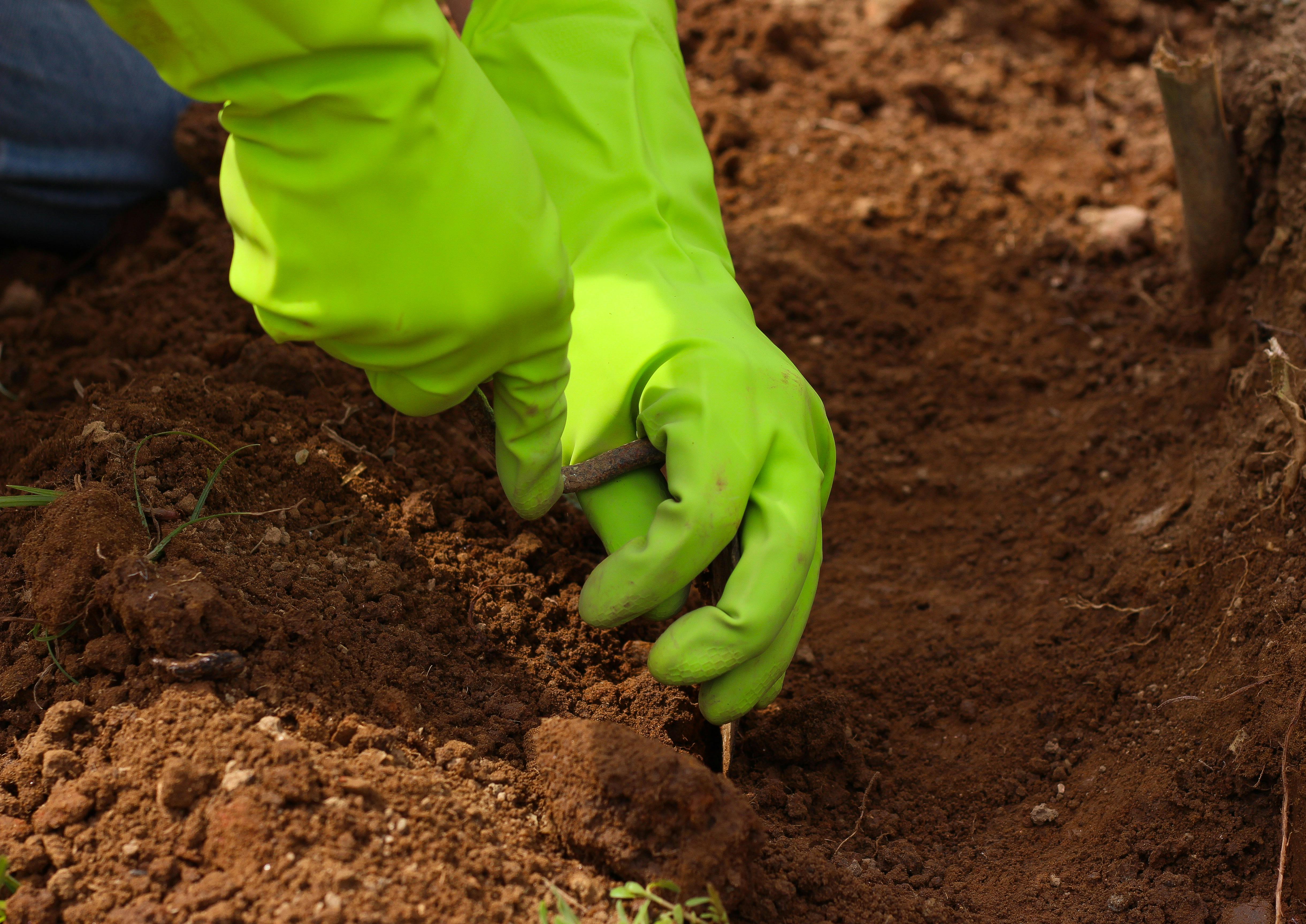 Person Digging on Soil Using Garden Shovel · Free Stock Photo