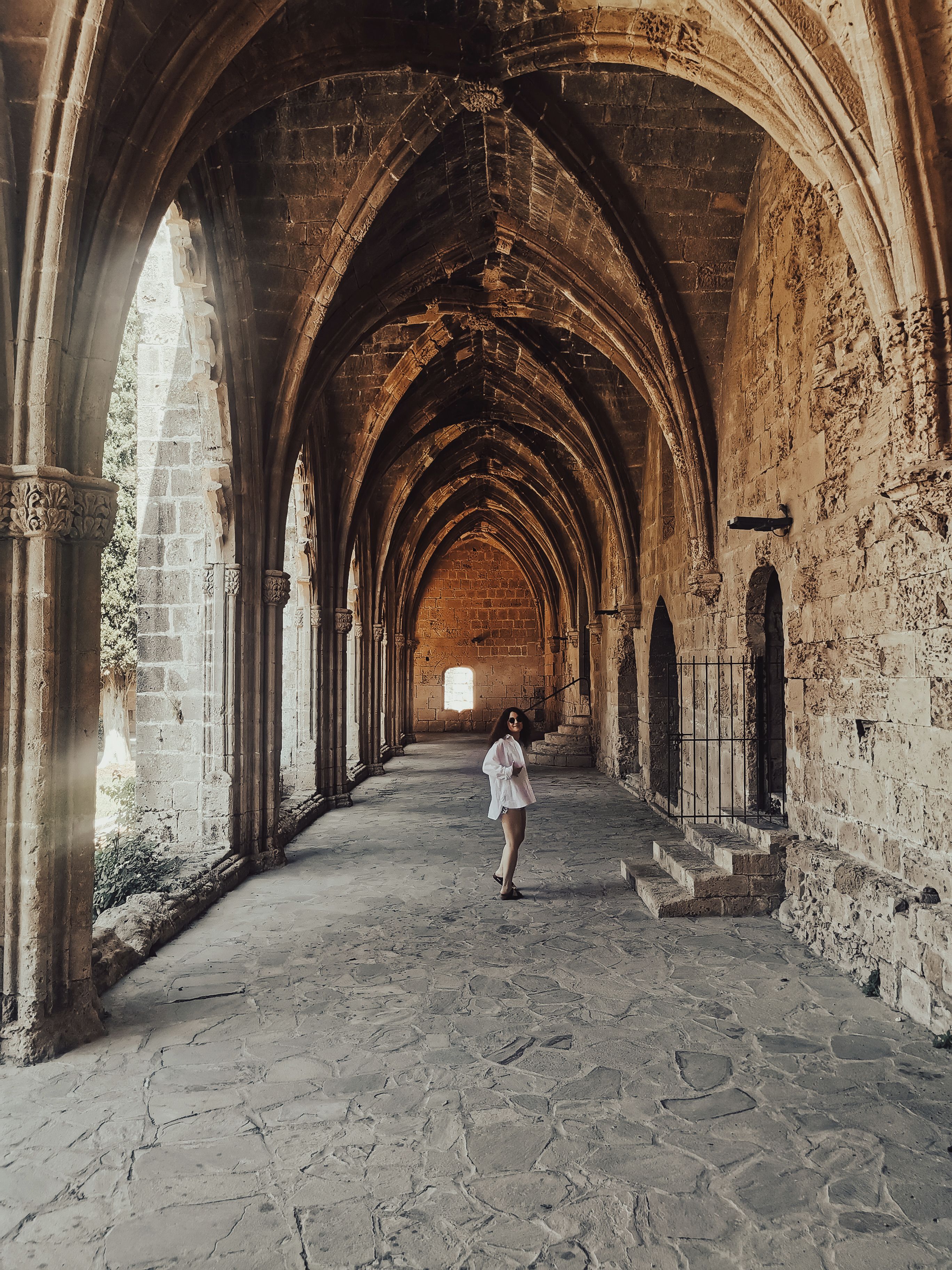 Woman Standing in Hallway of Gothic Castle · Free Stock Photo