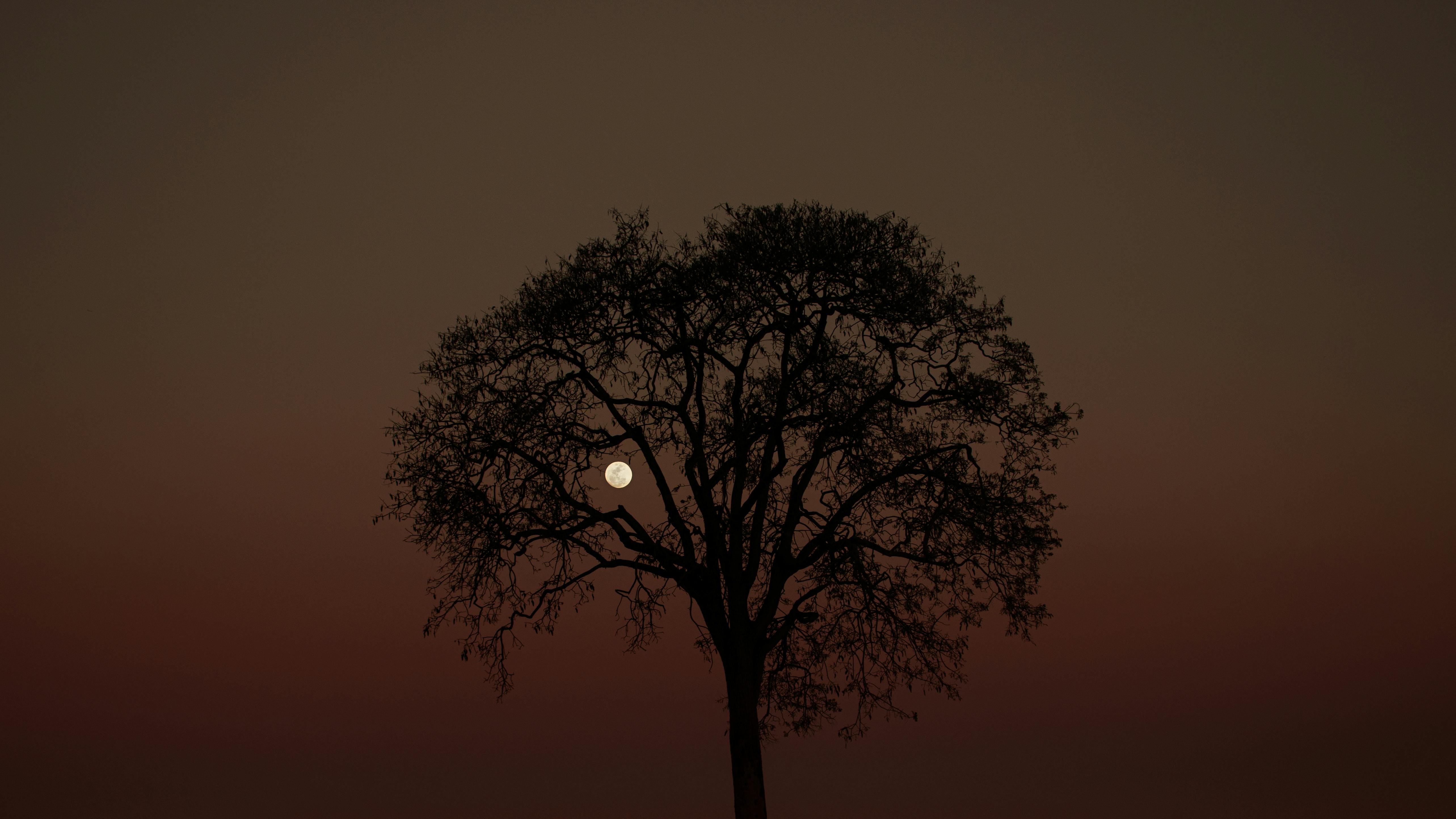 Moliv Fotografia - 사진