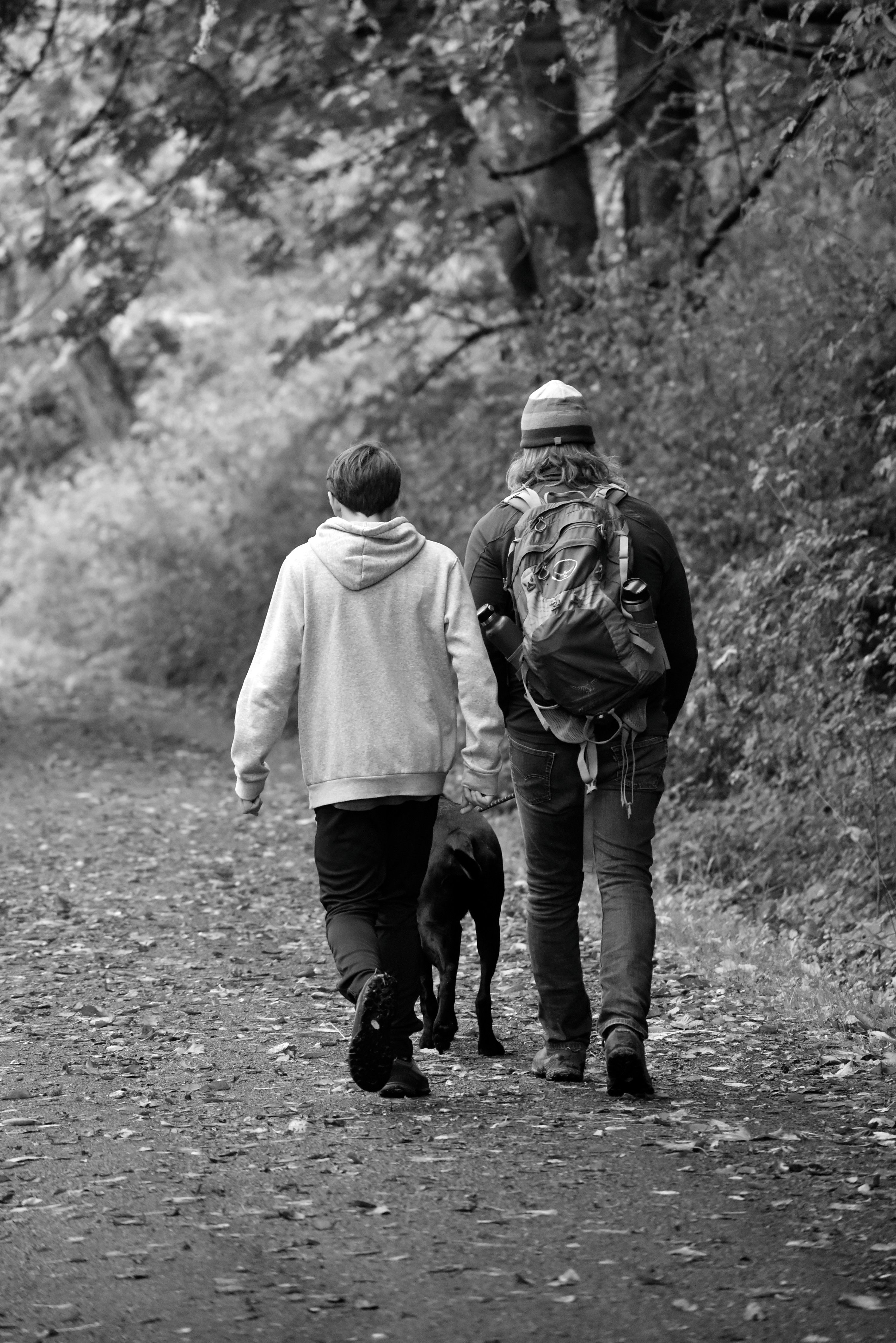 Two Men Walking with a Dog · Free Stock Photo