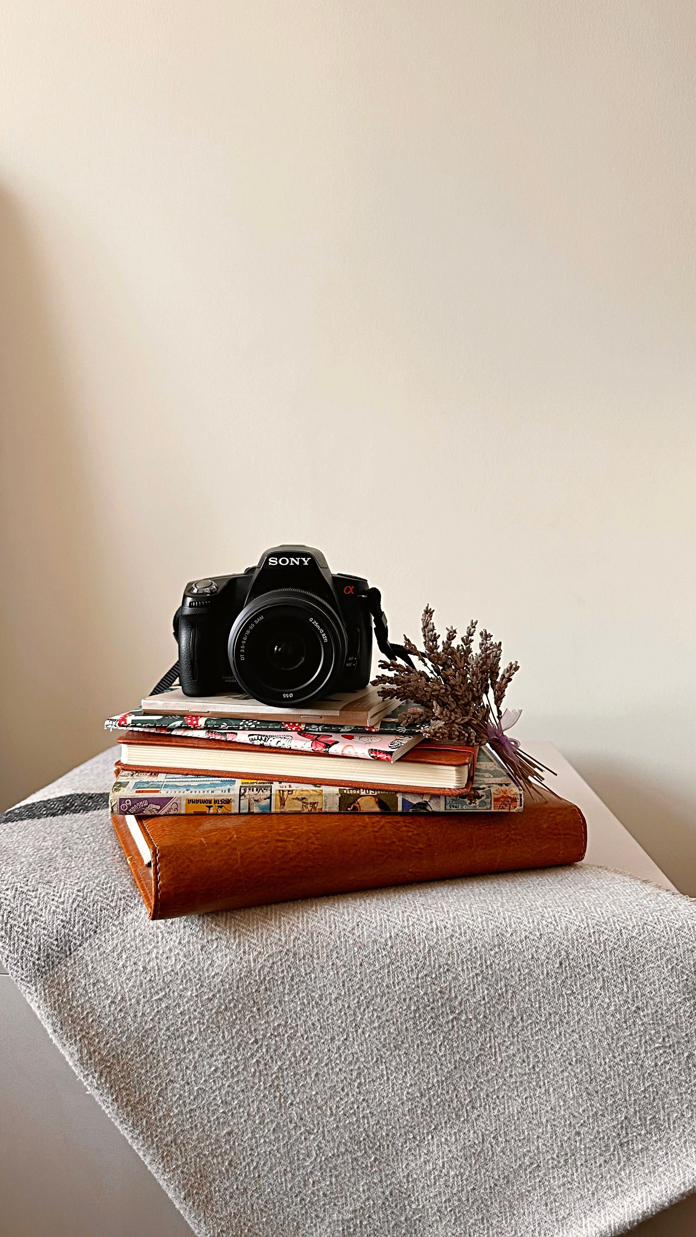 Books, Camera and Plants · Free Stock Photo