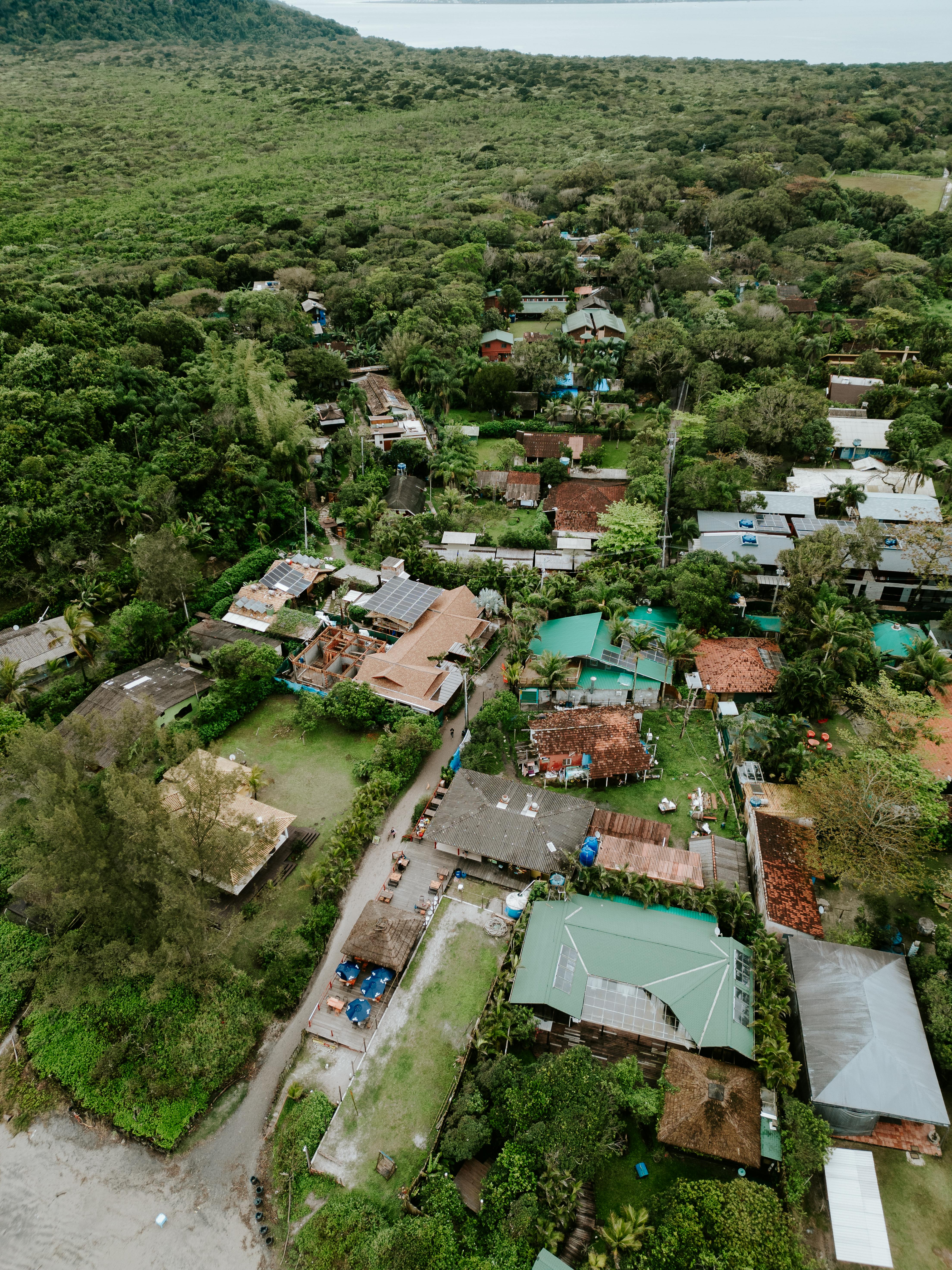 Village in Forest · Free Stock Photo