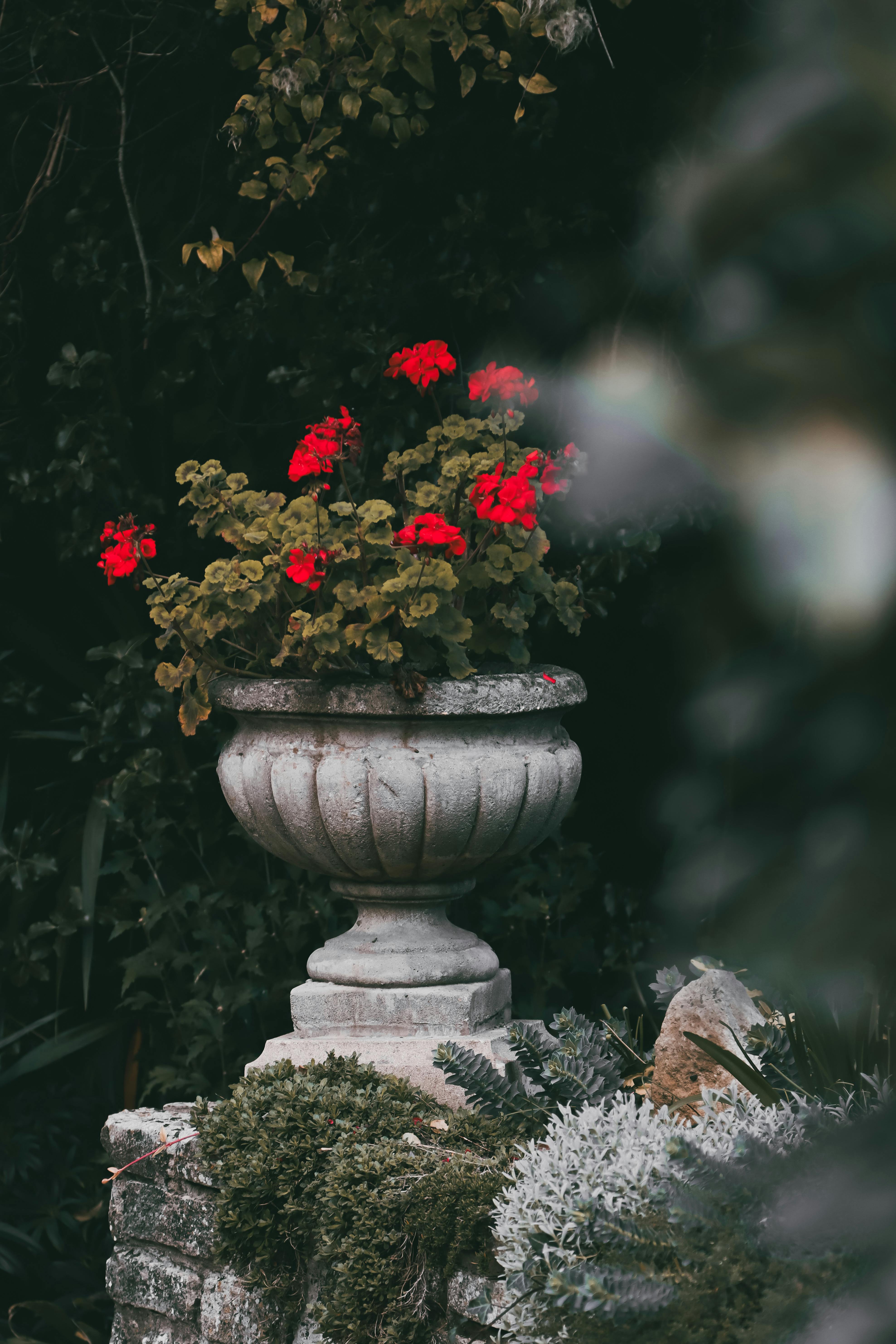 Stone Wall Cladding Photos, Download The BEST Free Stone Wall Cladding ...