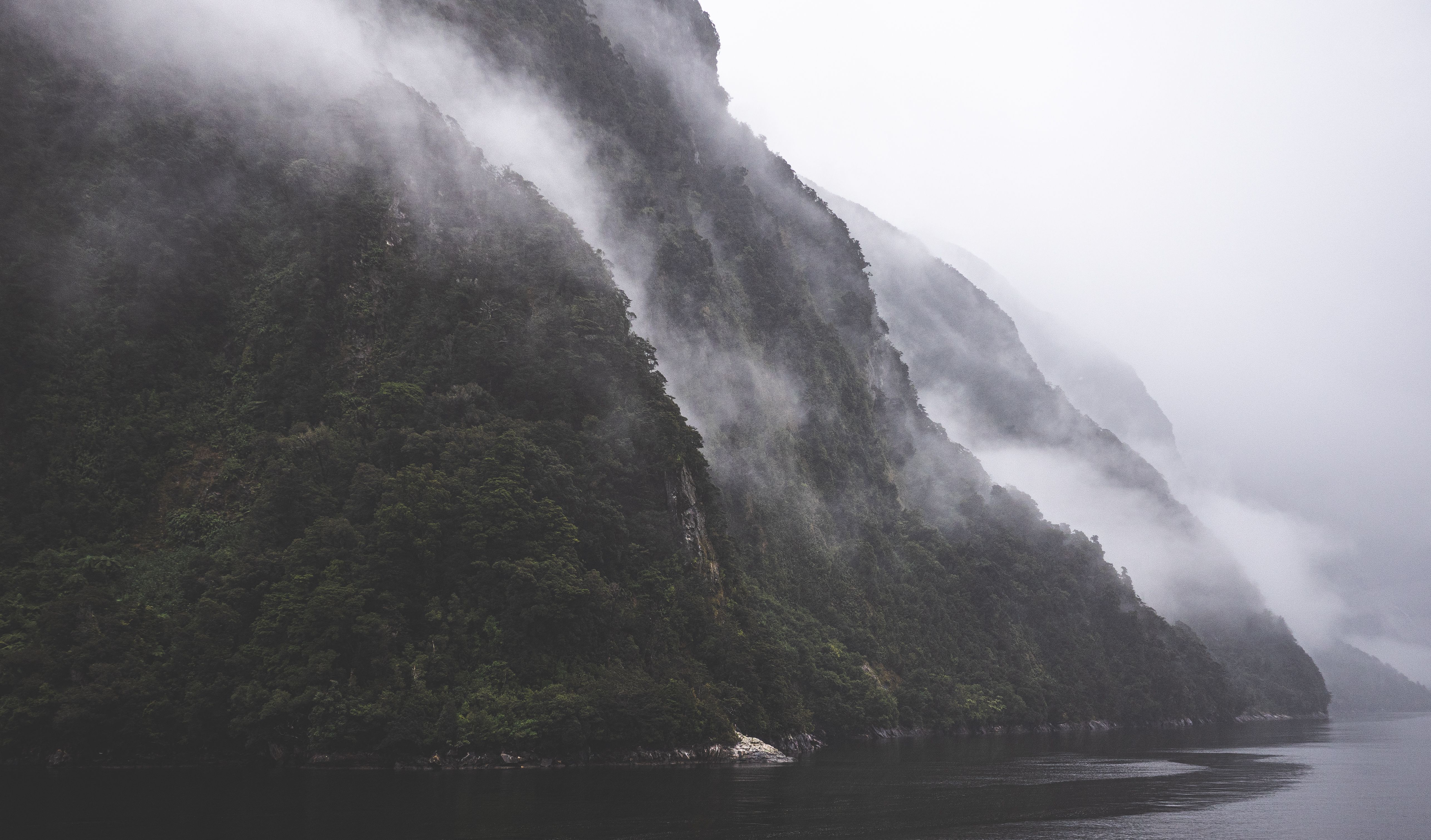 Panorama of Forest Covered Mountain Cliffs in Fog · Free Stock Photo