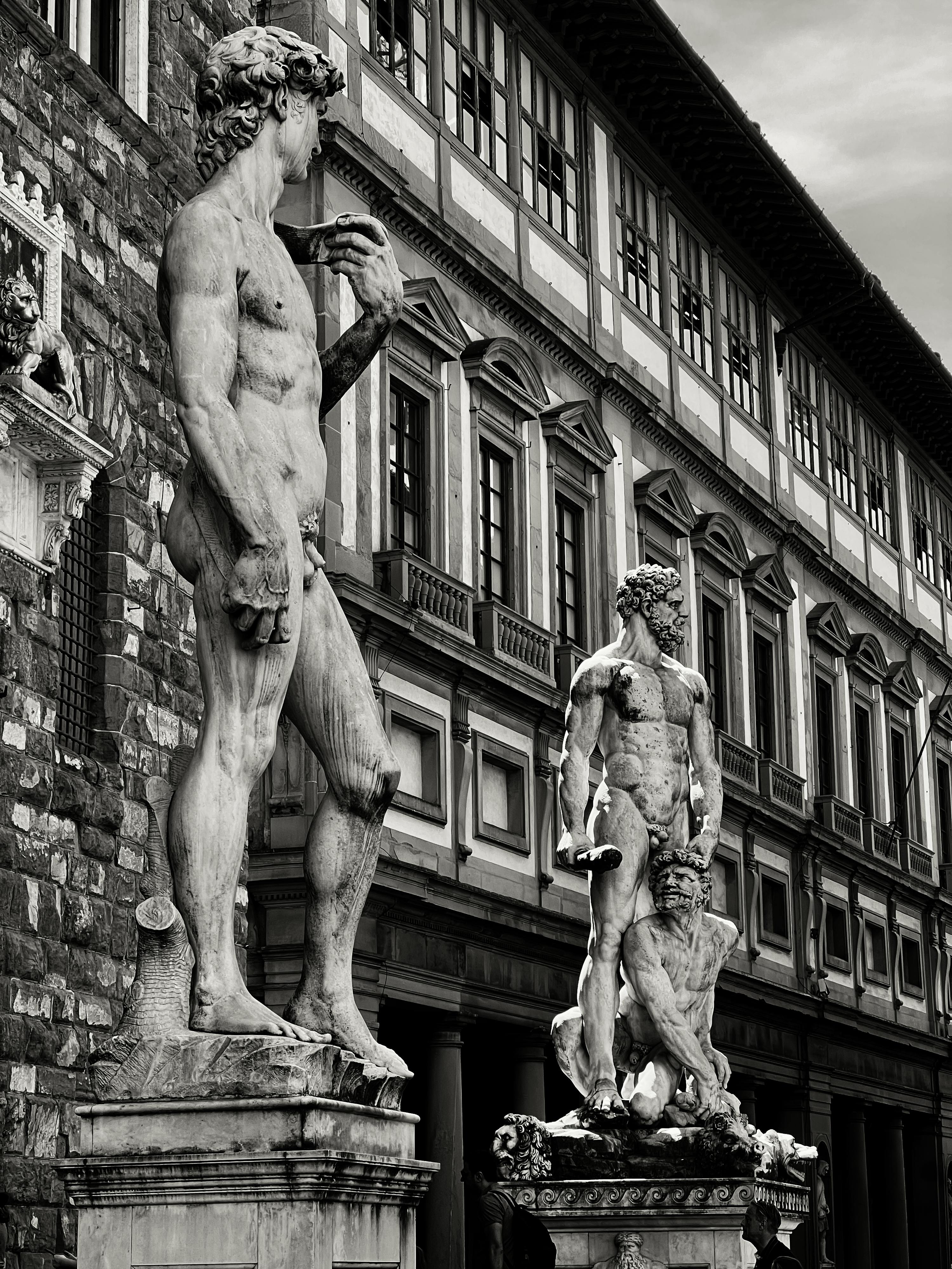 David Go Photos, Download The BEST Free David Go Stock Photos & HD Images