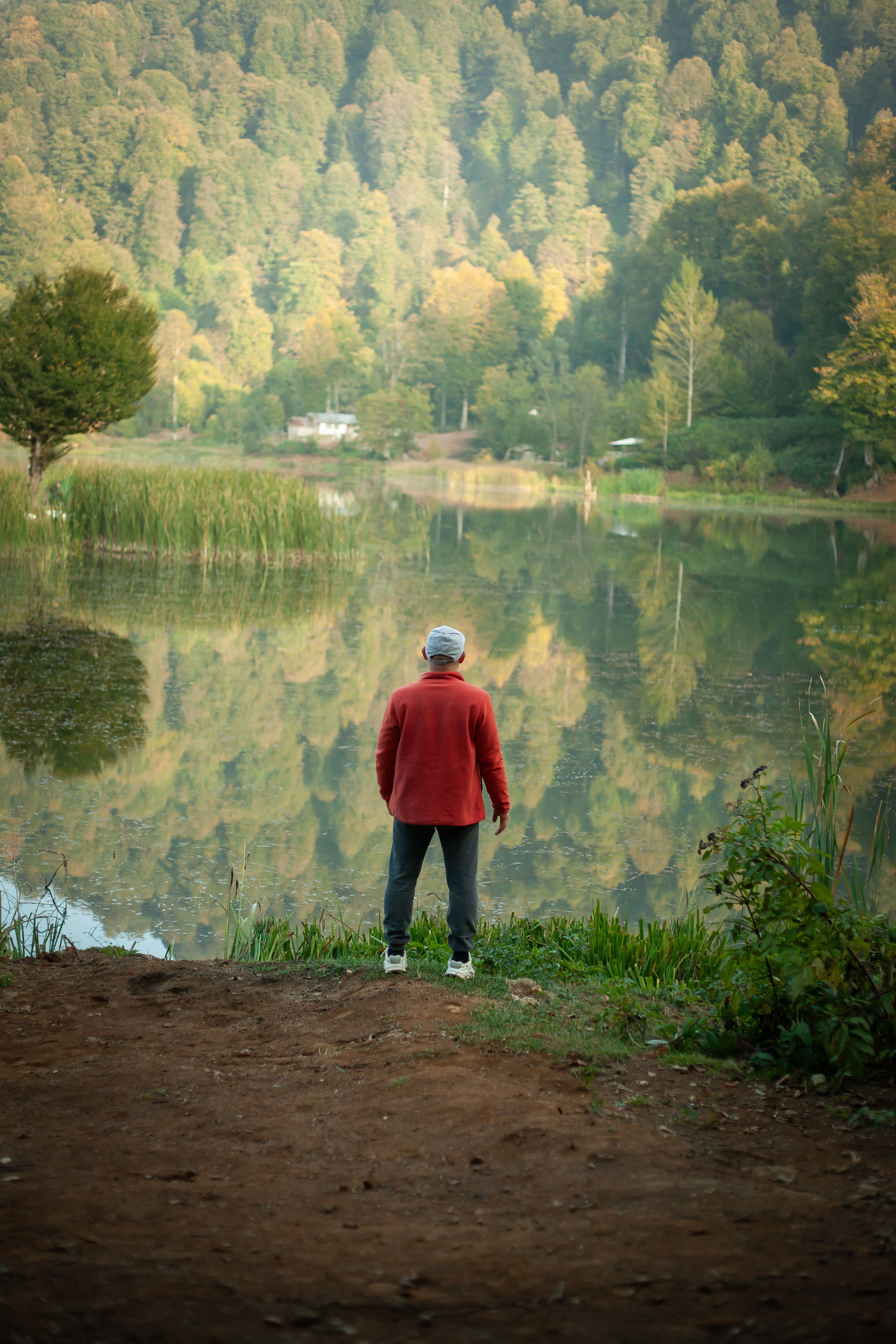 Man Walking Along the Lake Shore · Free Stock Photo
