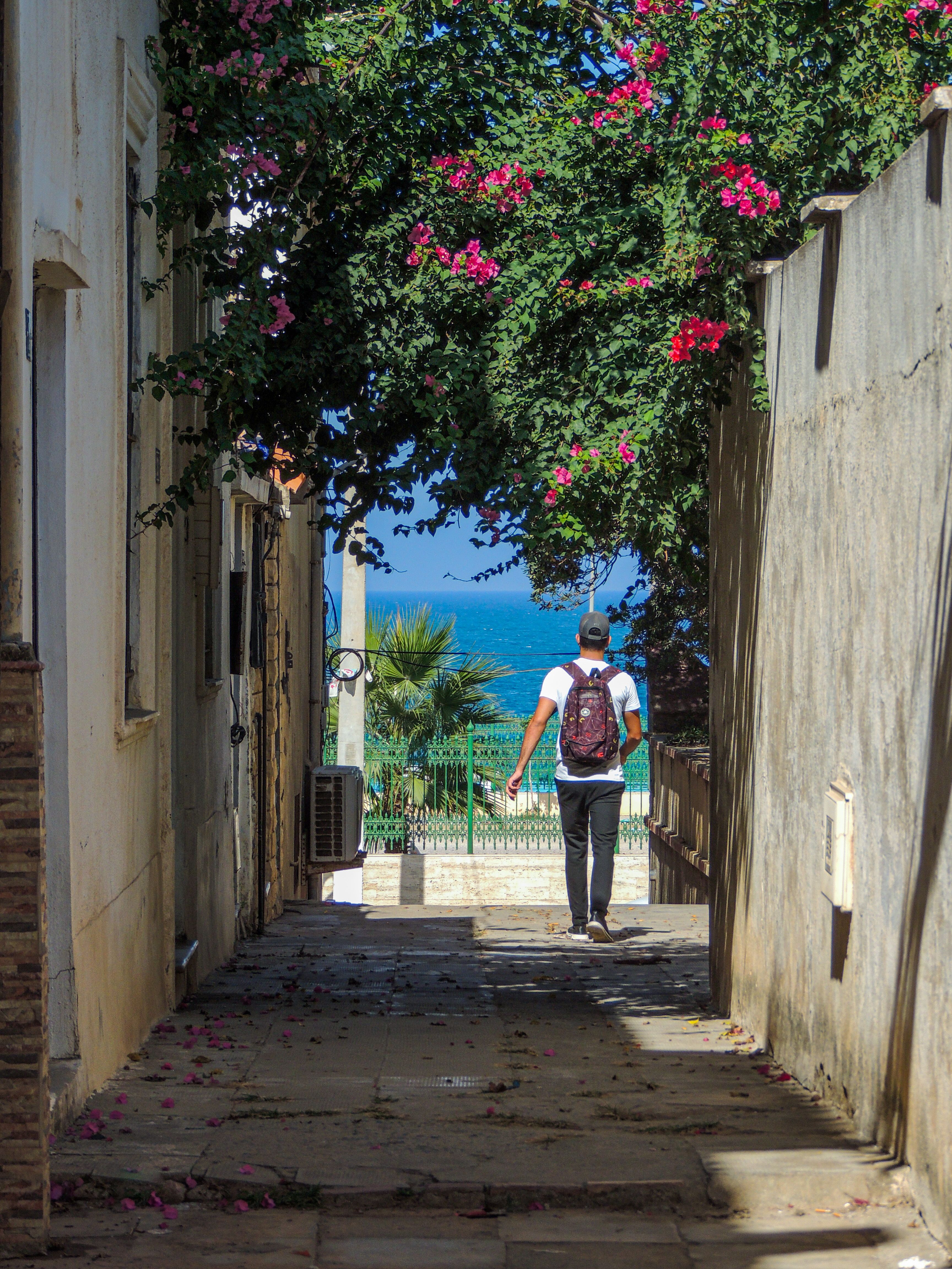Man Walks in Street under Flowering Shrub · Free Stock Photo