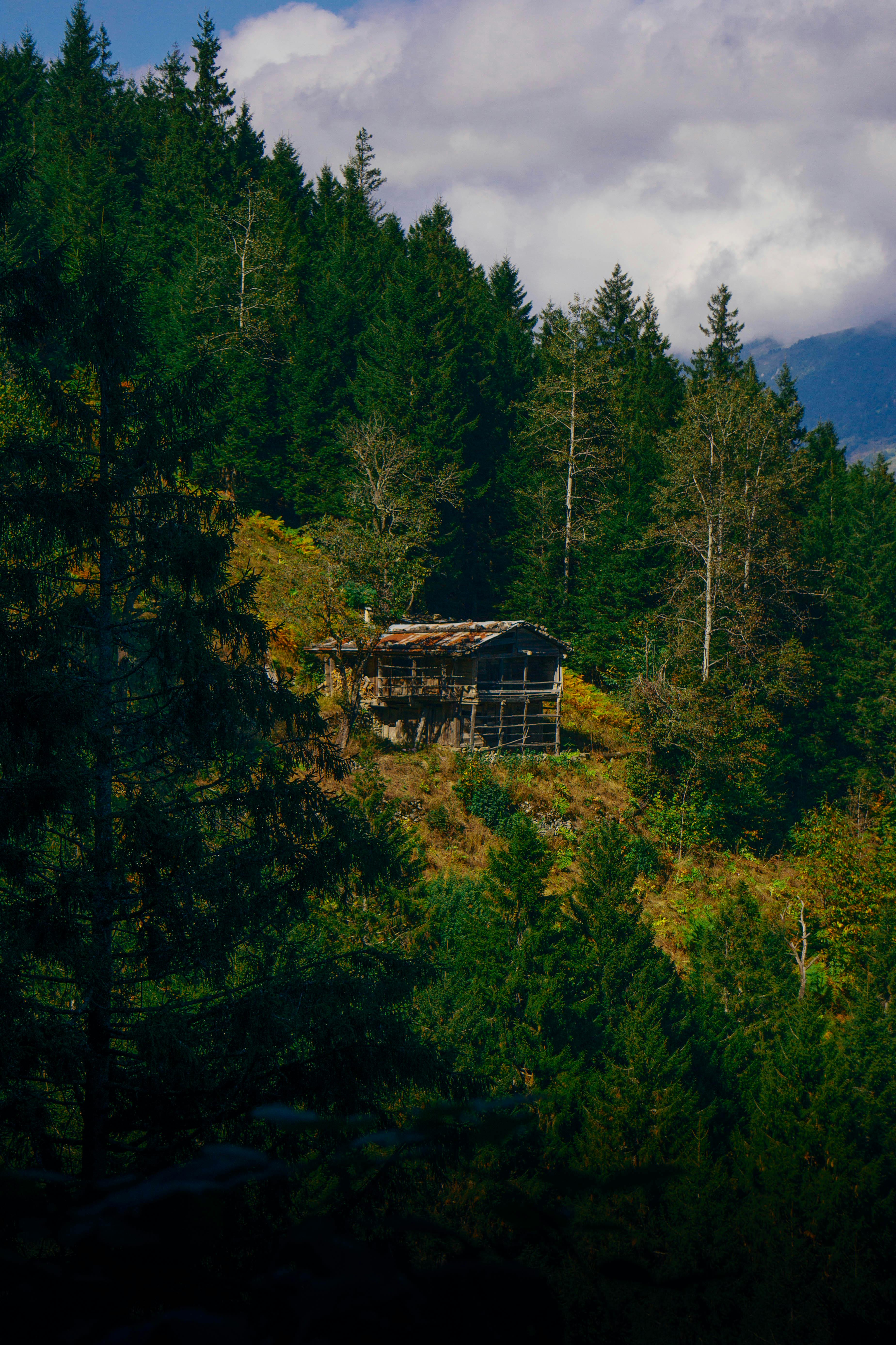 Lake in Mountain Park and Hut with Turquoise Roof · Free Stock Photo