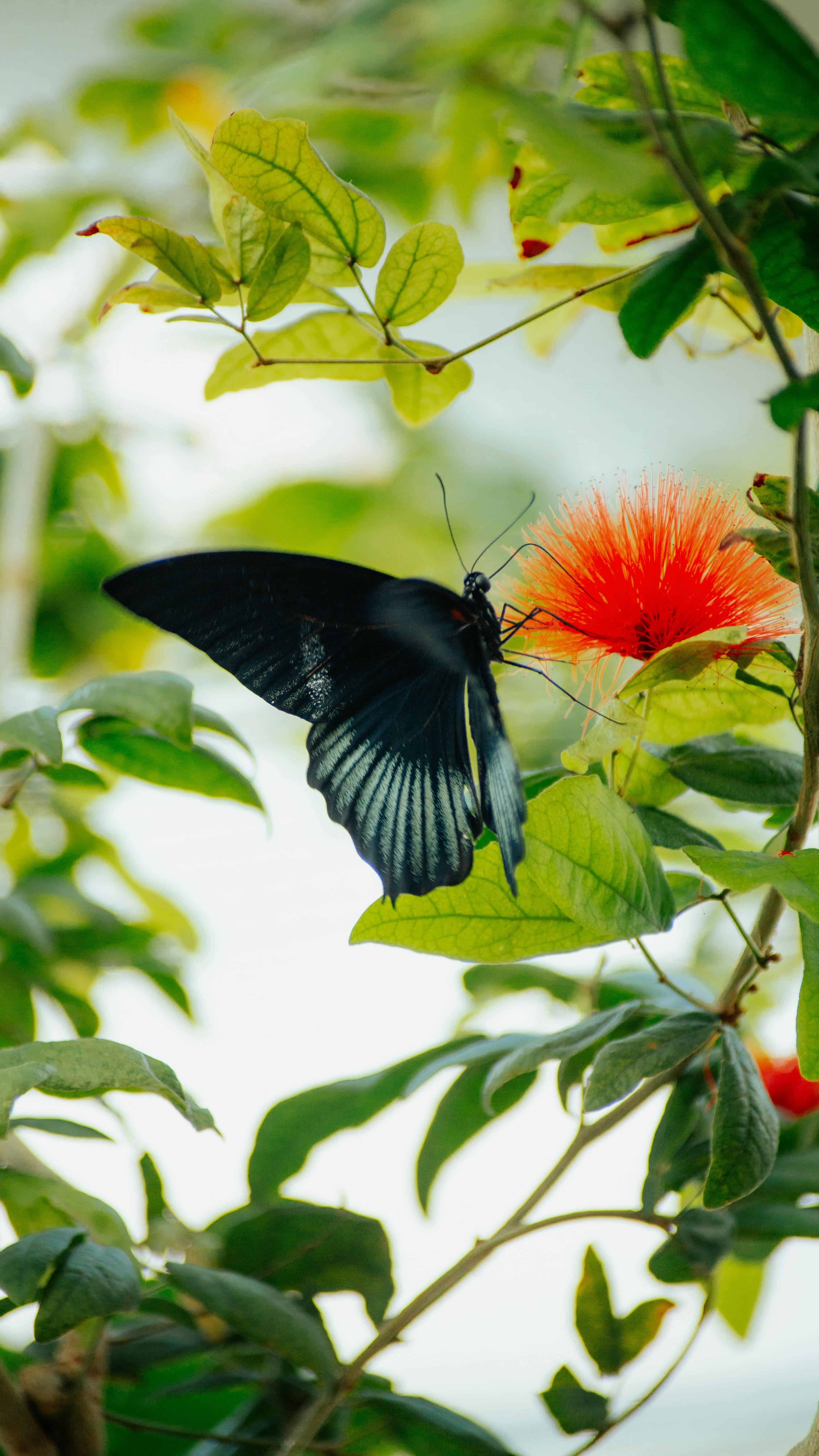 Wild Nature With Humen Photos, Download The BEST Free Wild Nature With ...