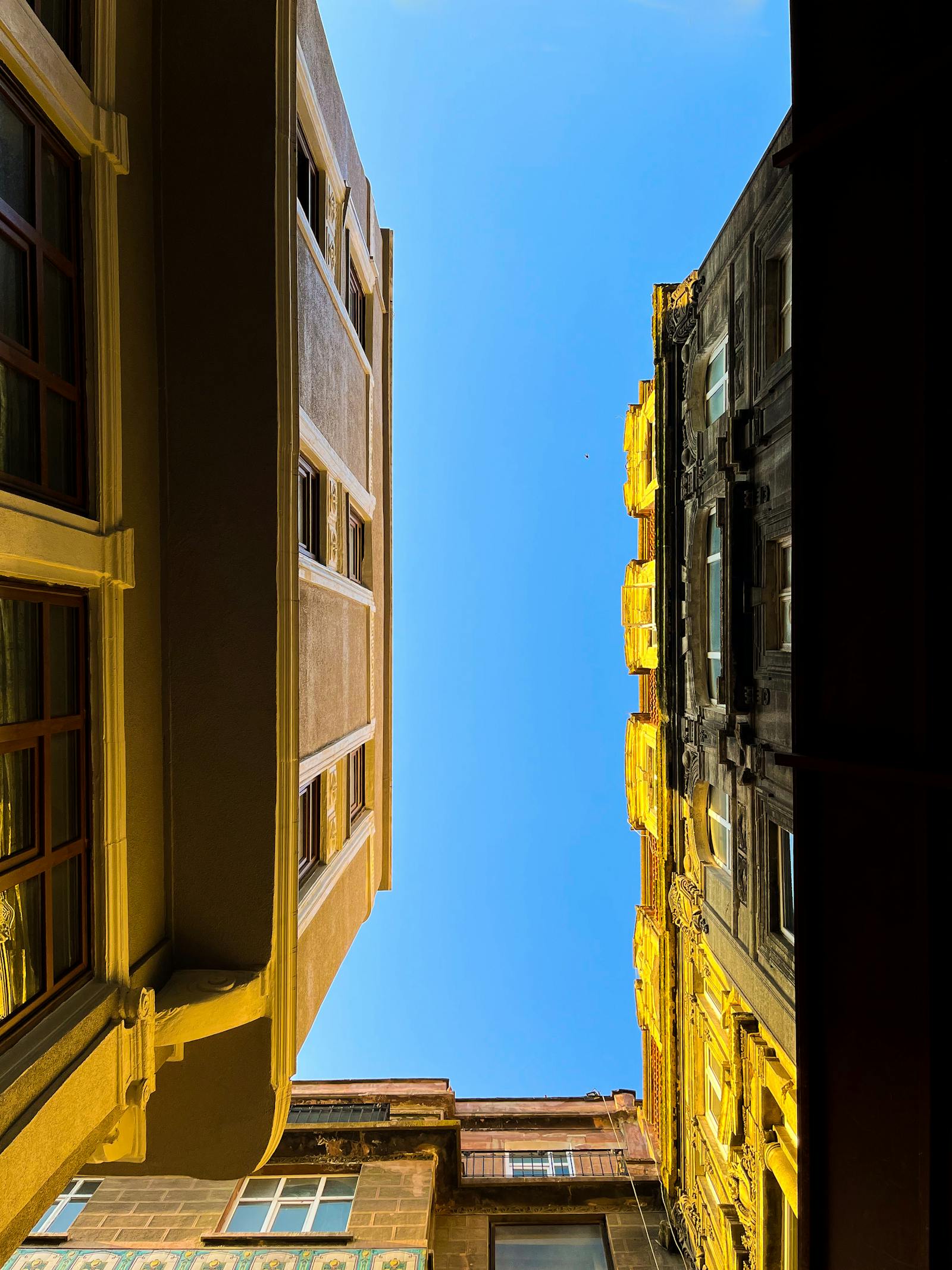 Tops Photos, Download The BEST Free Tops Stock Photos & HD Images