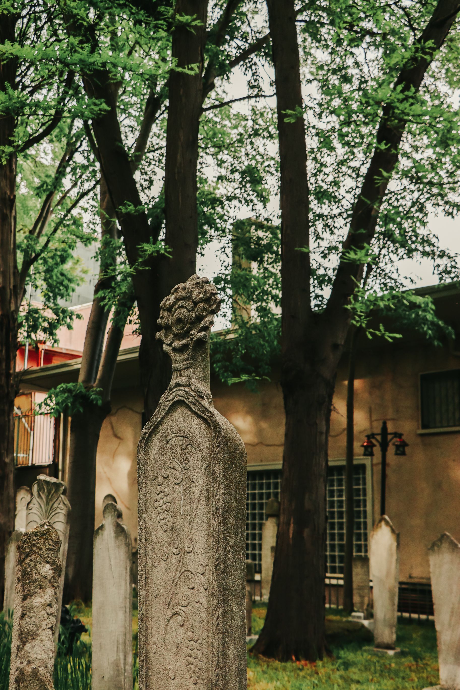 Trees on Vintage Cemetery · Free Stock Photo