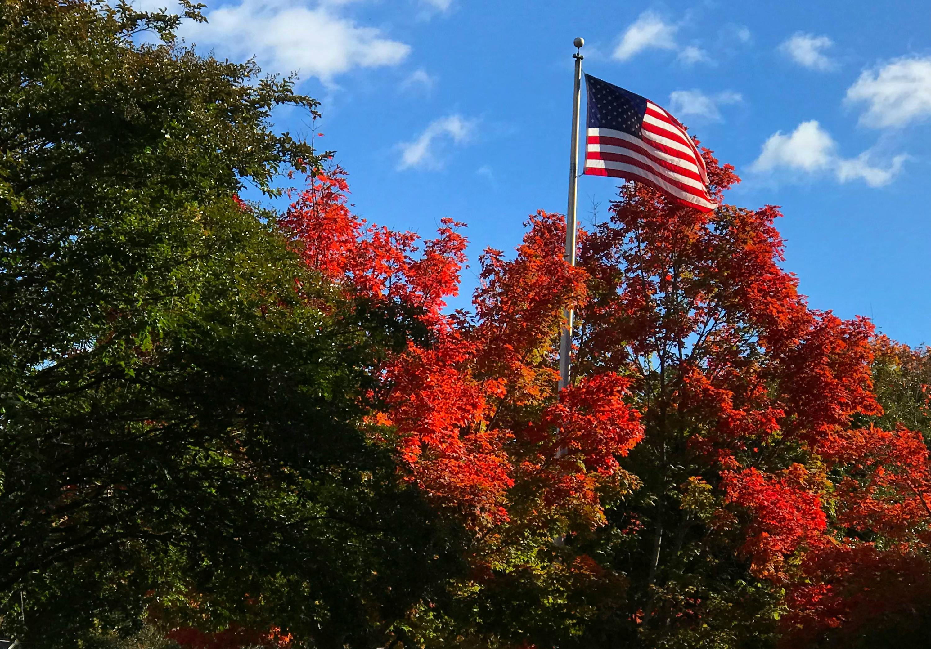 Lynn Nash - Photography