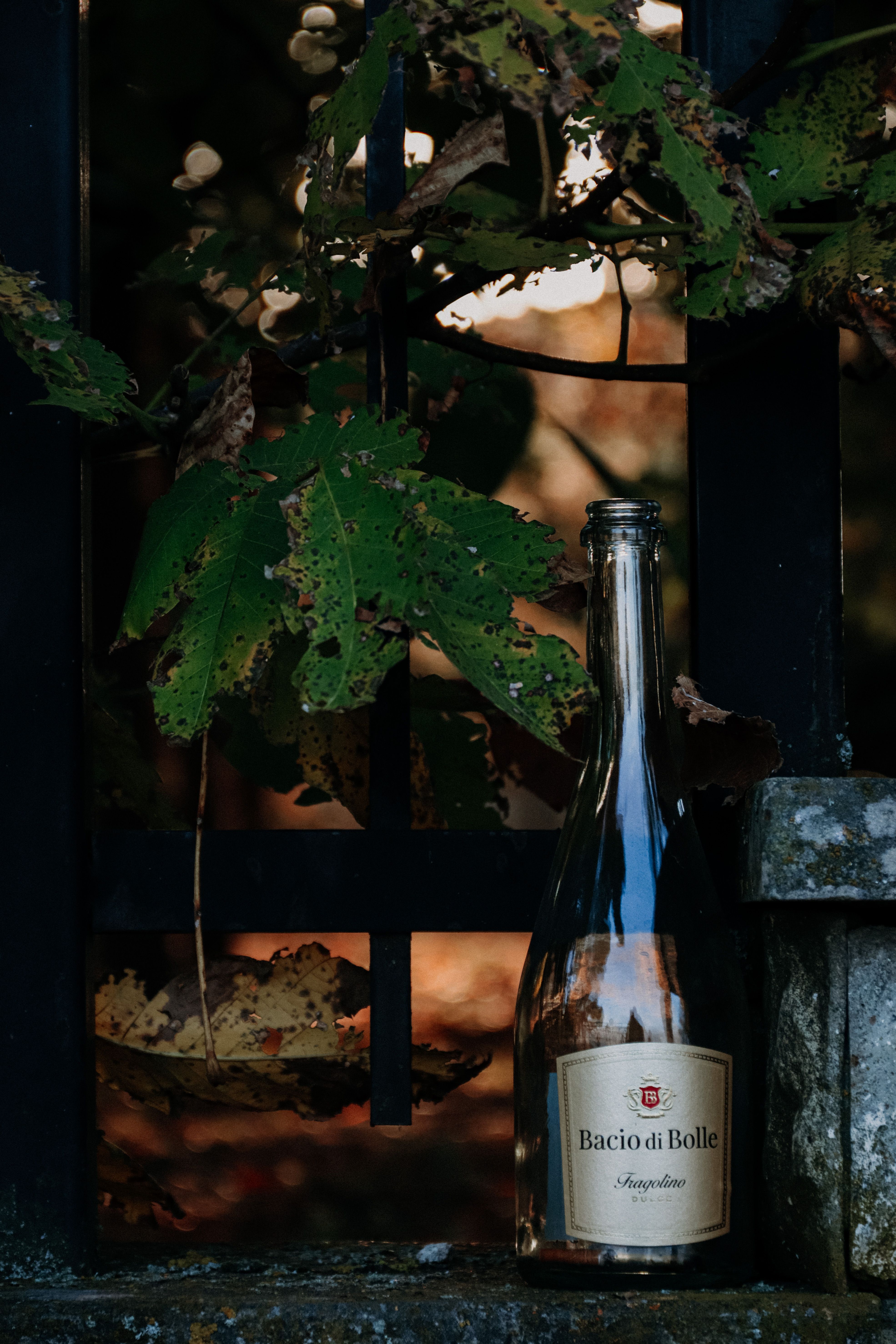 Vertical Wine Tasting Photos, Download The BEST Free Vertical Wine ...