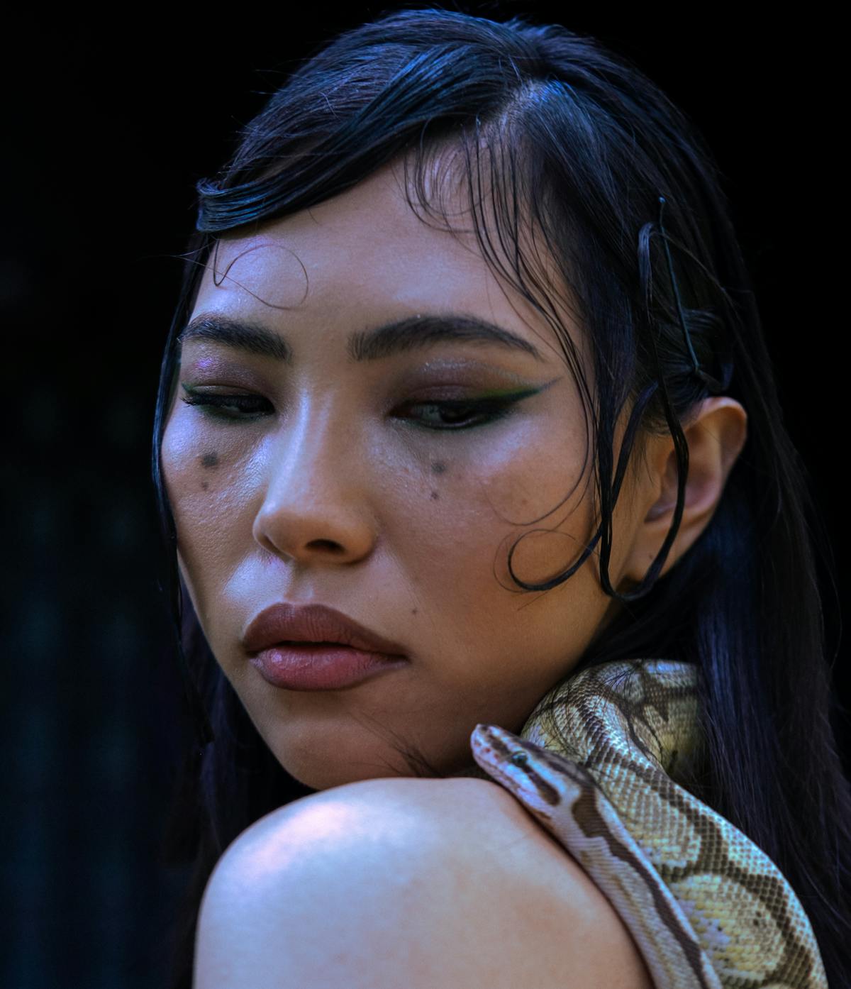 Snake Face Photos, Download The BEST Free Snake Face Stock Photos & HD ...