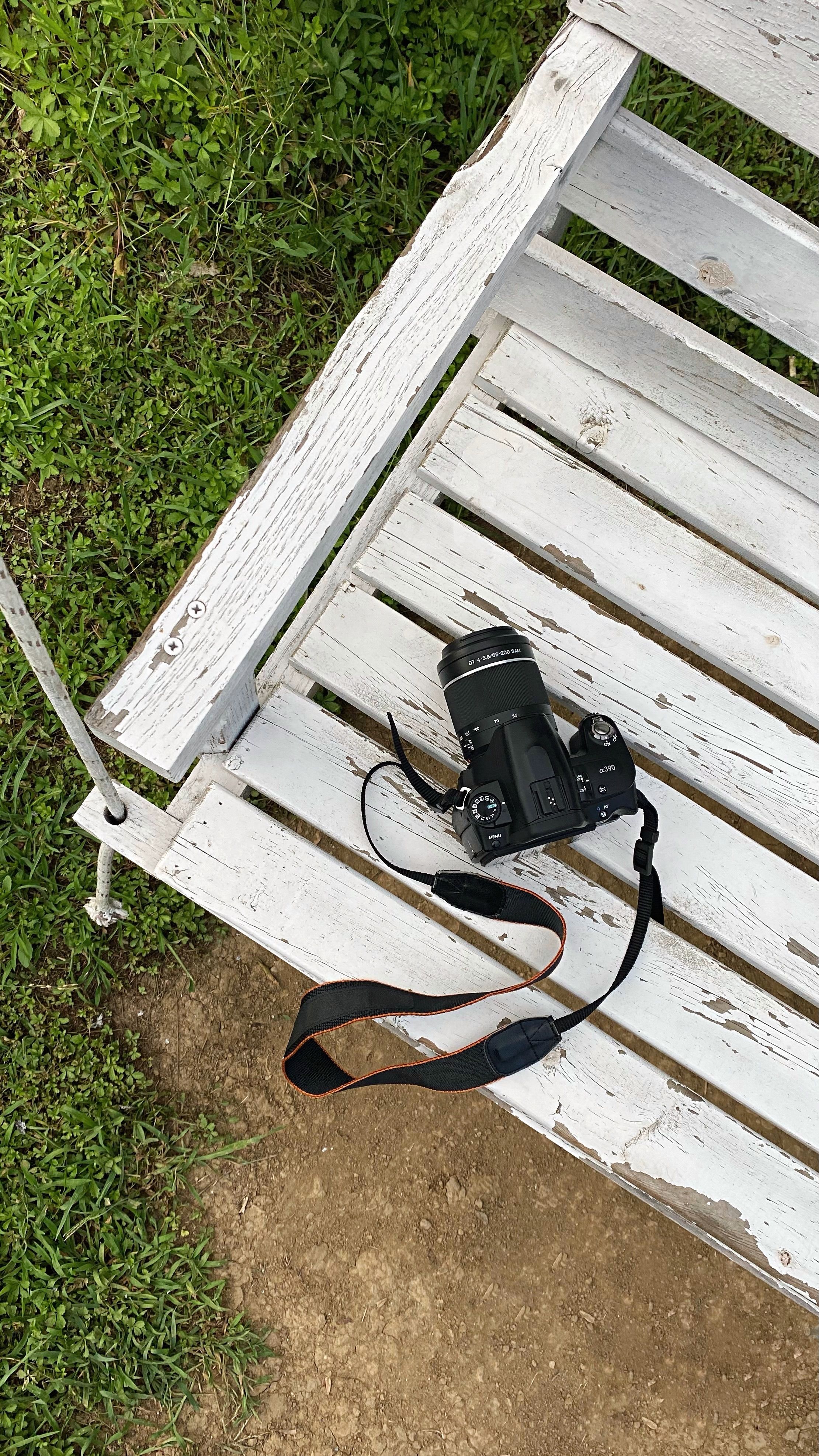 Camera on Bench · Free Stock Photo