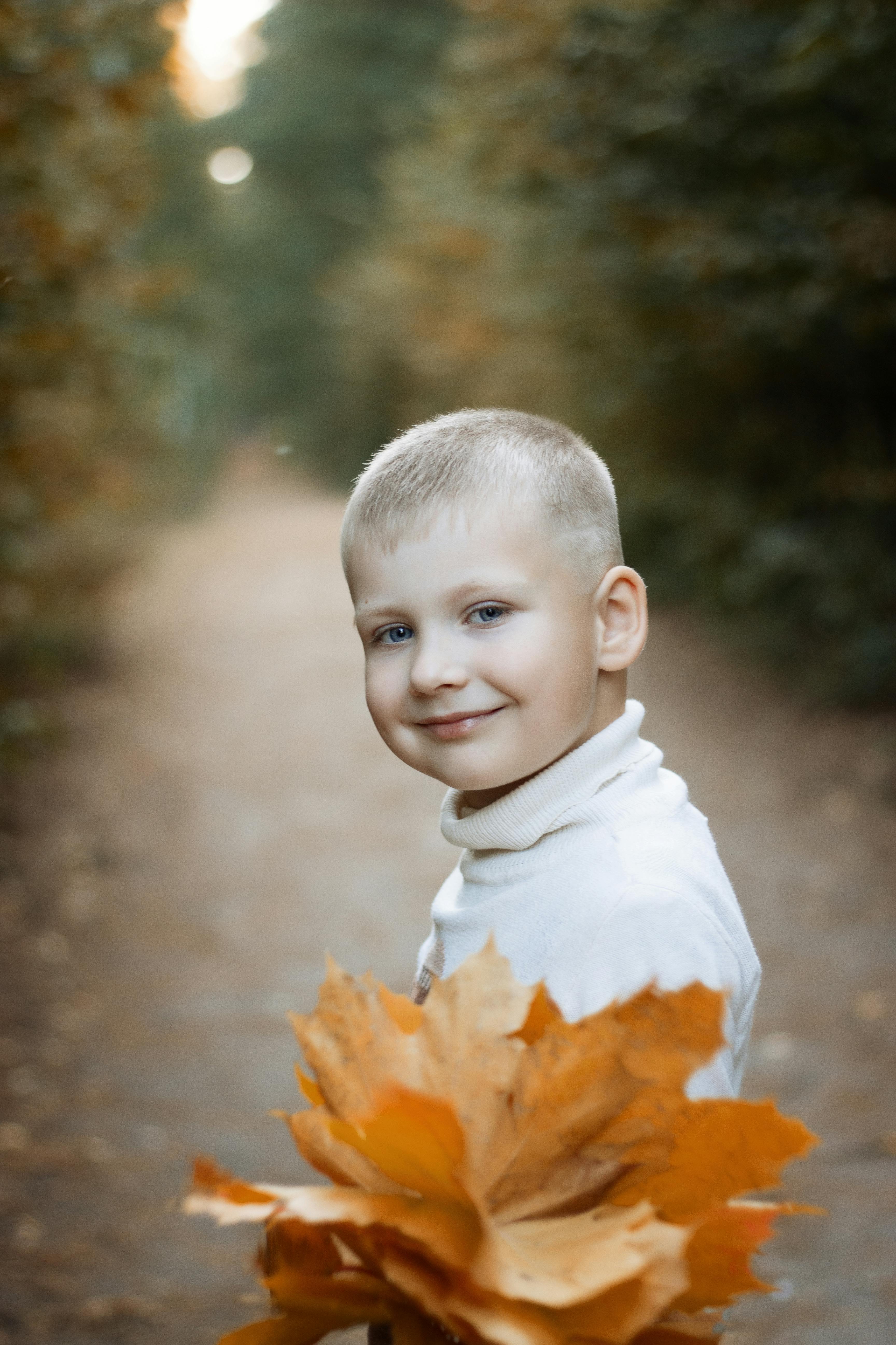 Autumn Leaves November Photos, Download The BEST Free Autumn Leaves ...