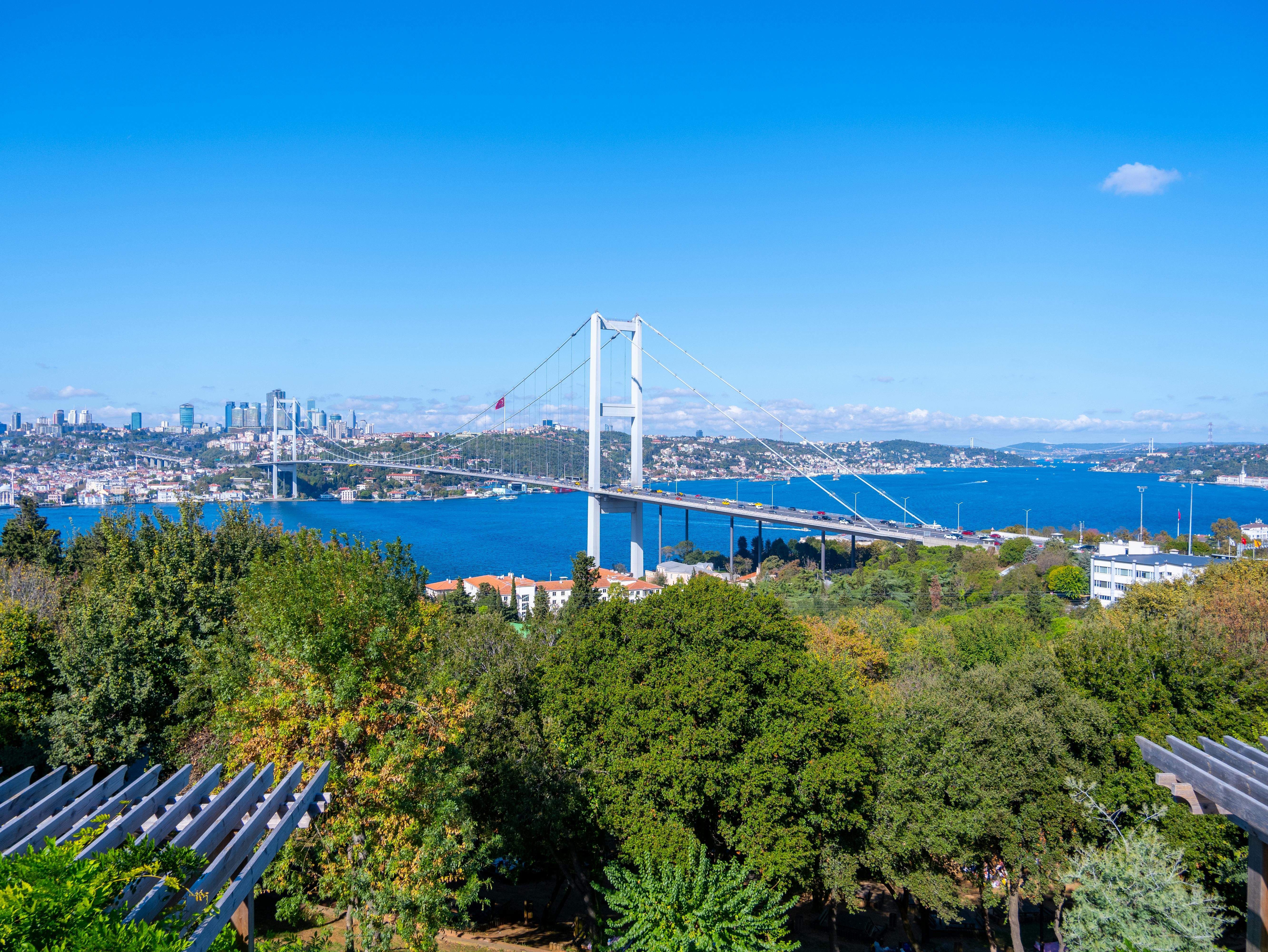 Wijn Juli Photos, Download The BEST Free Wijn Juli Stock Photos & HD Images