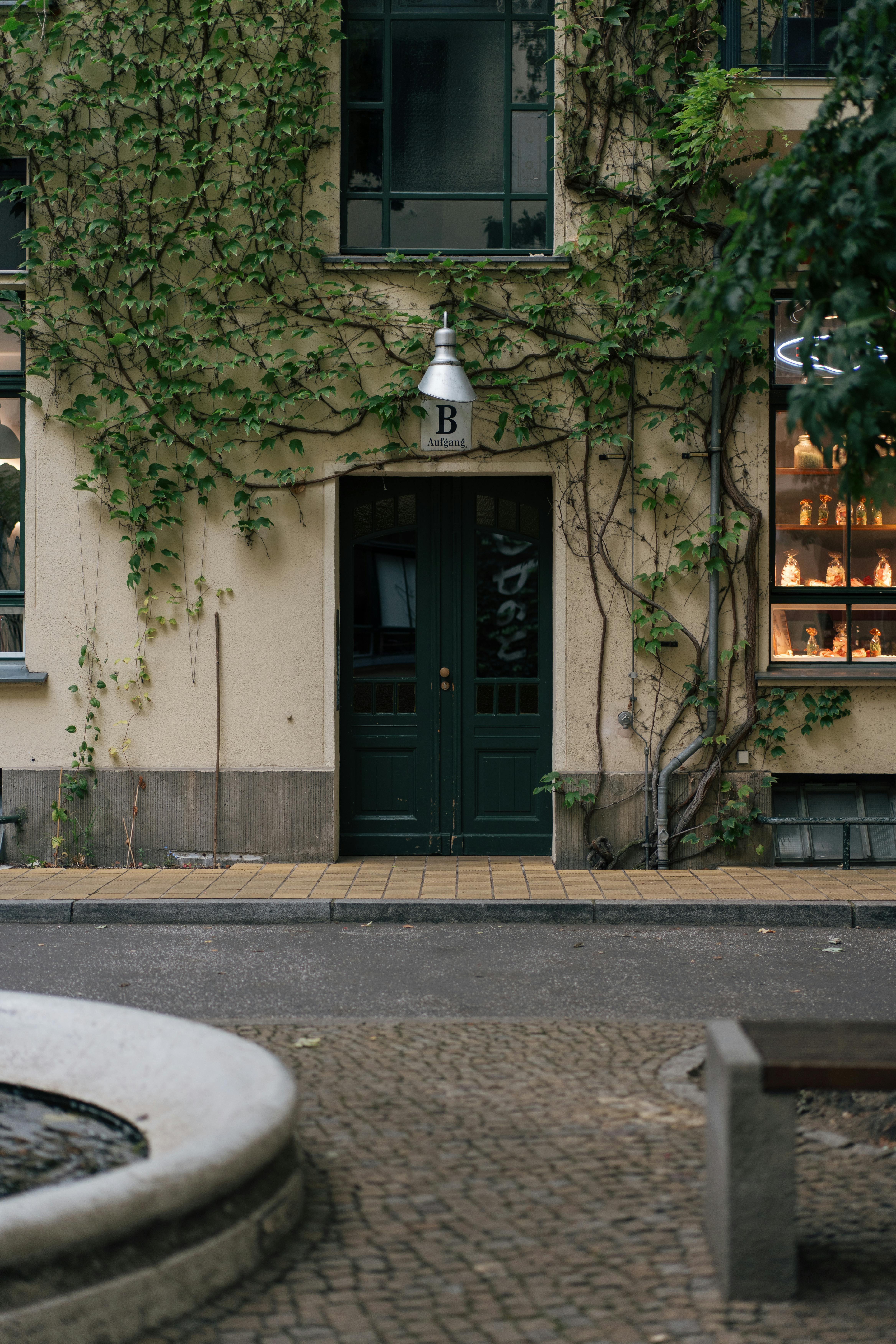 Facade of an Overgrown Building · Free Stock Photo