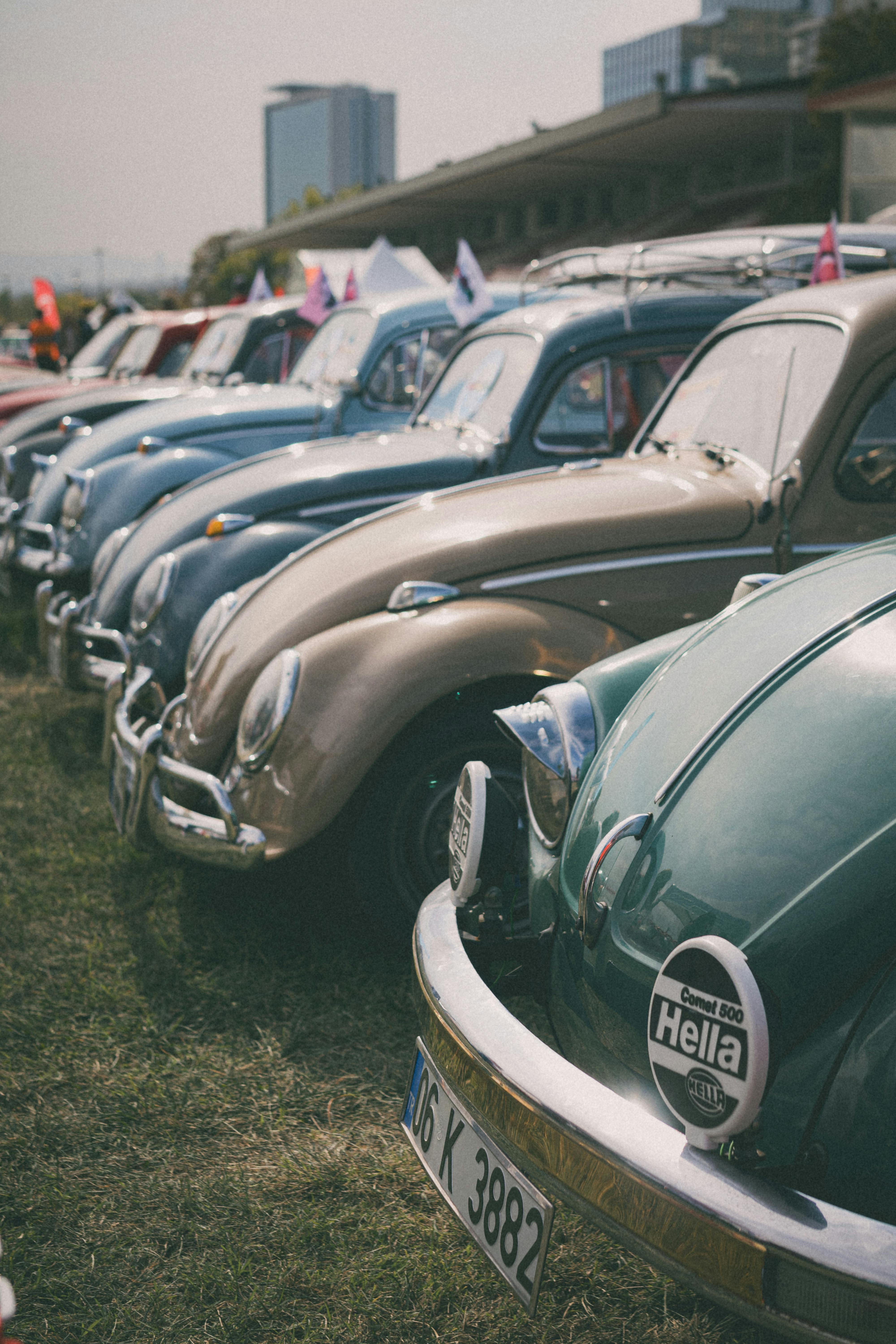 Fronts of a Whole Row of Volkswagen Beetles on a Car Show · Free Stock ...