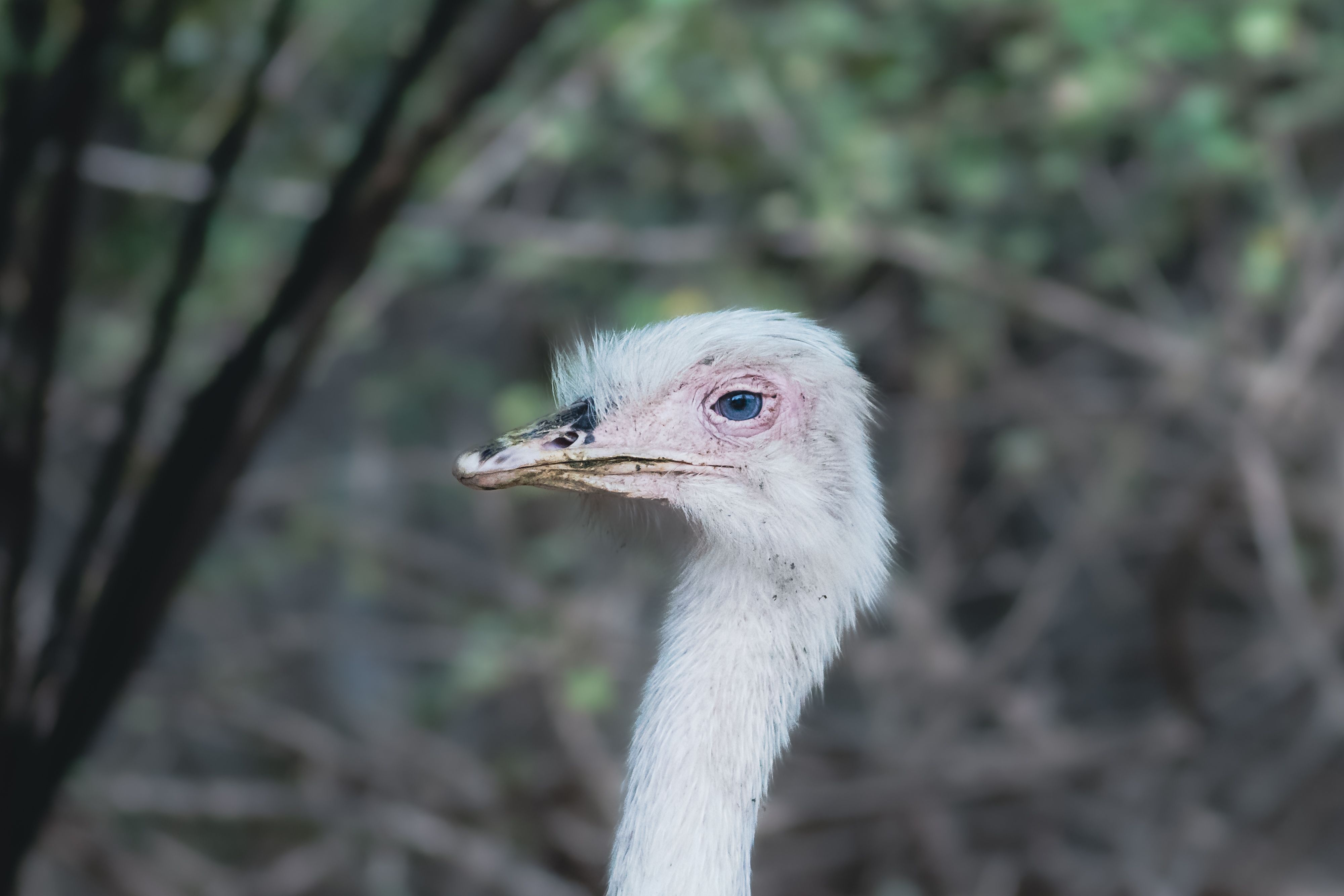 Nature Portraits Photos, Download The BEST Free Nature Portraits Stock ...