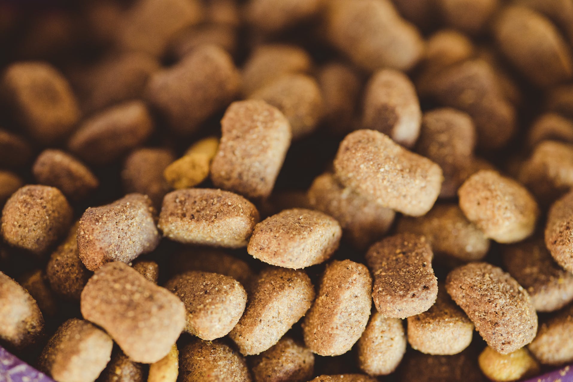 Mars Dog Food Brands: A Guide to Quality Pet Nutrition