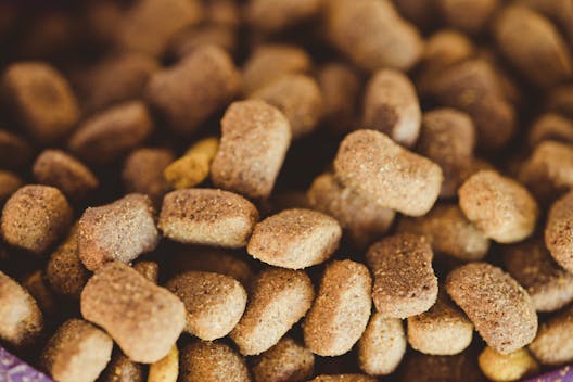 Mars Dog Food Brands: A Guide to Quality Pet Nutrition