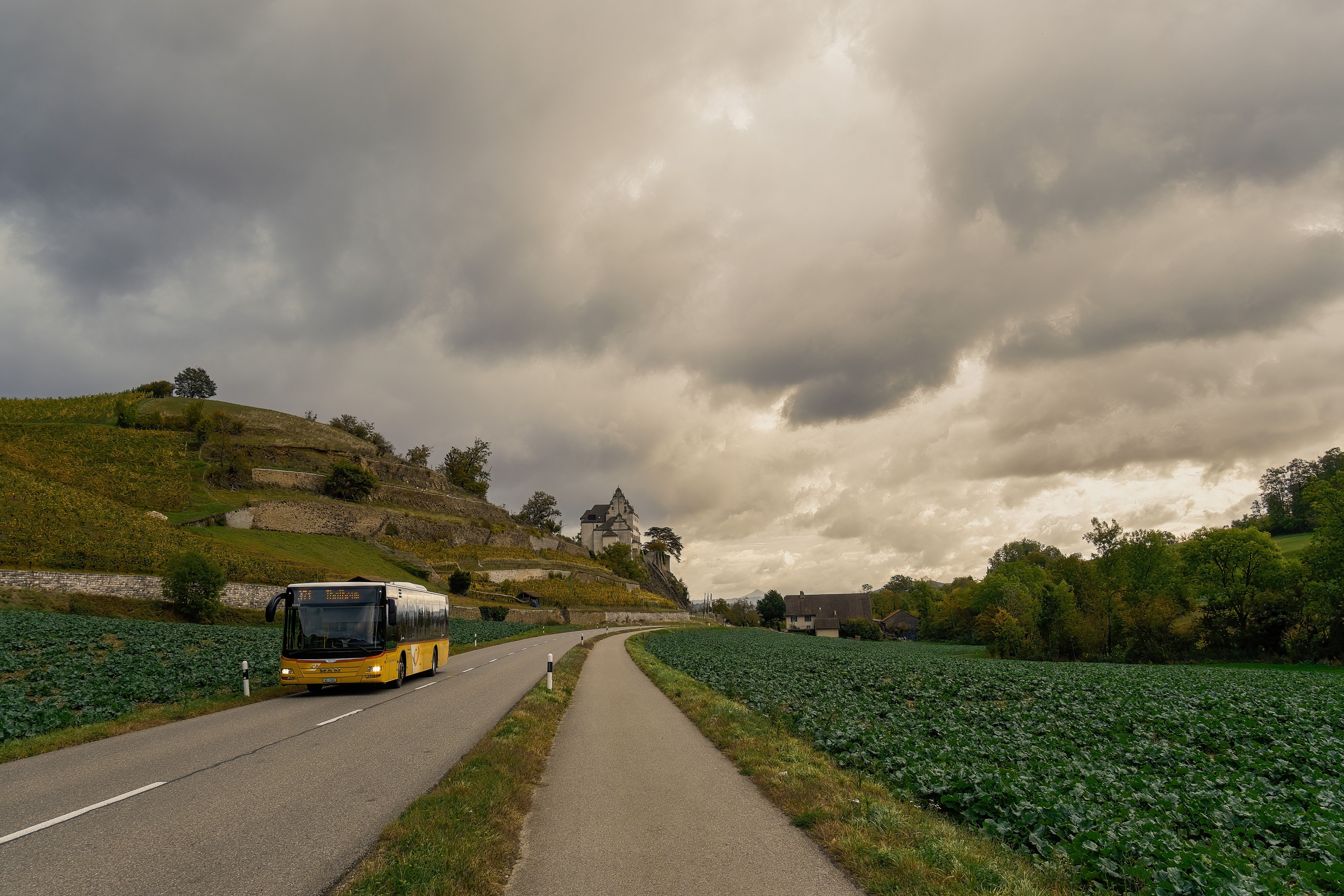 A Bus on an Asphalt Road between Fields · Free Stock Photo