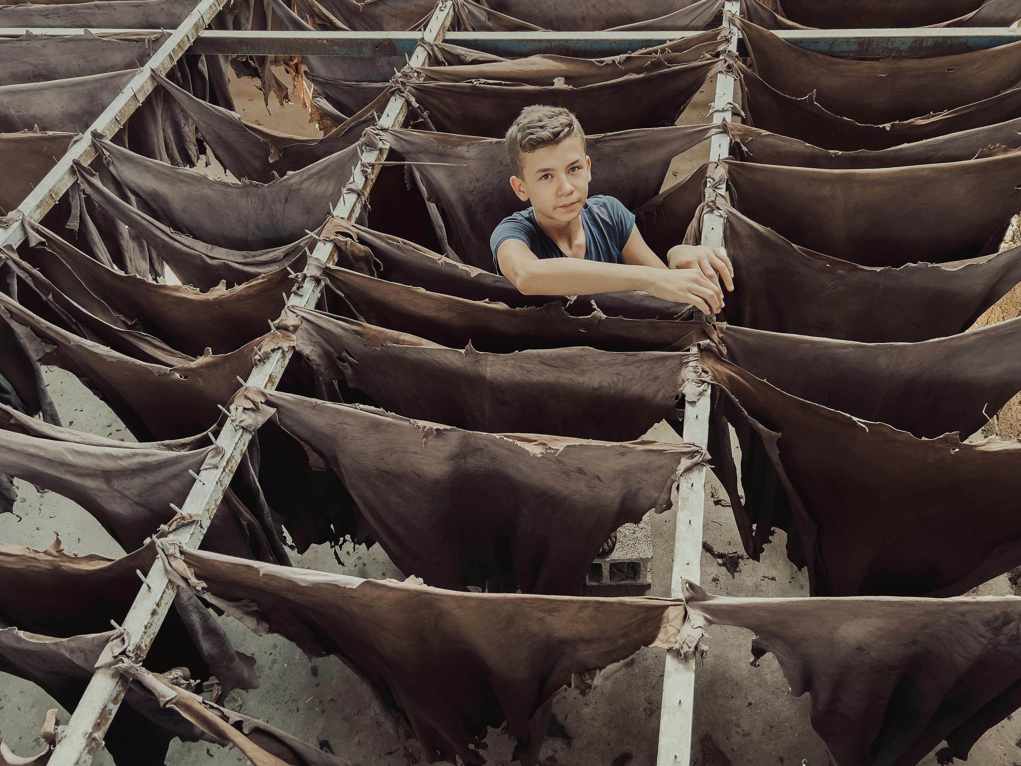 Tanner Hanging a Hide on a Drying Rack · Free Stock Photo