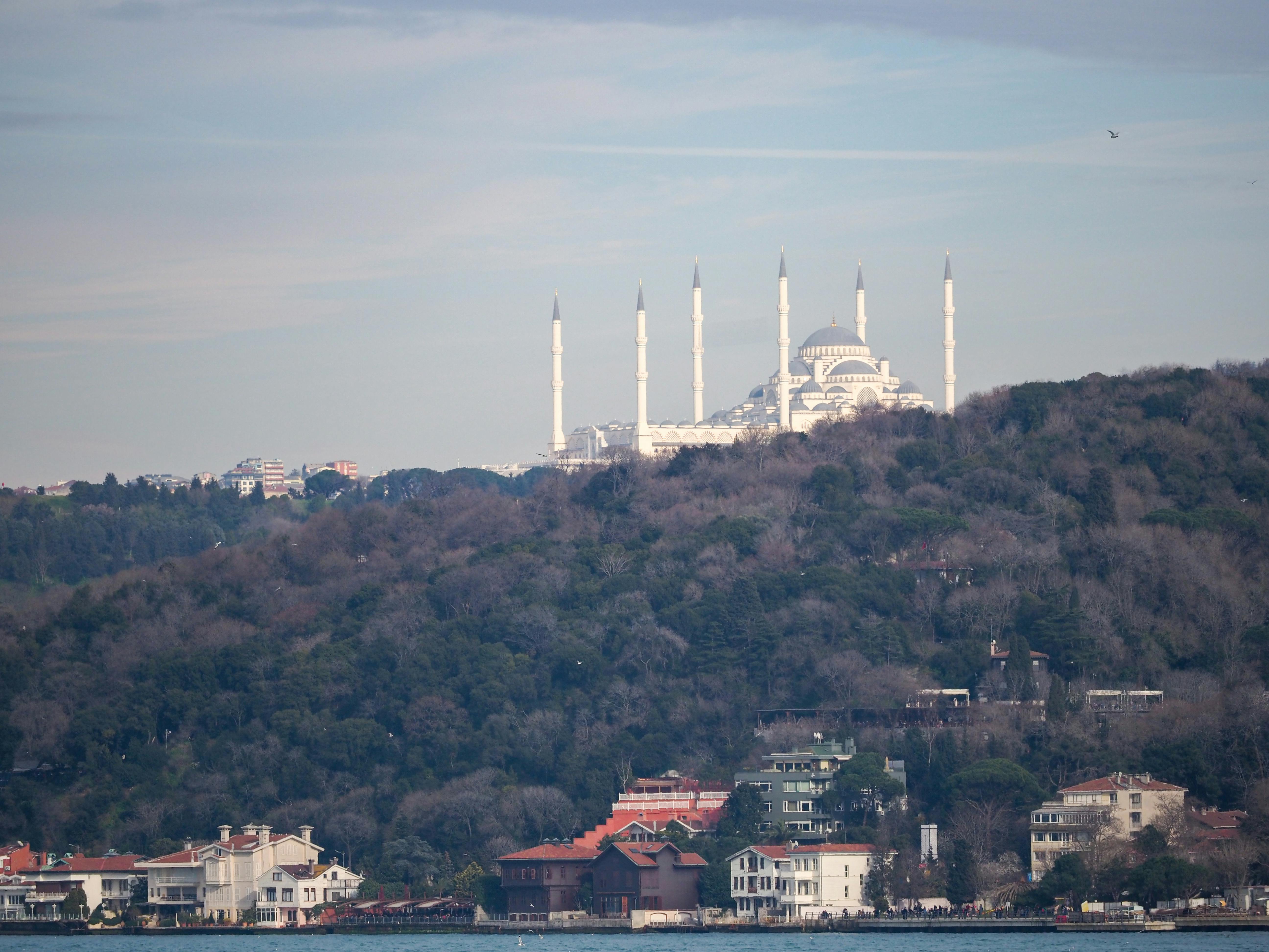 Mosque on Hill · Free Stock Photo